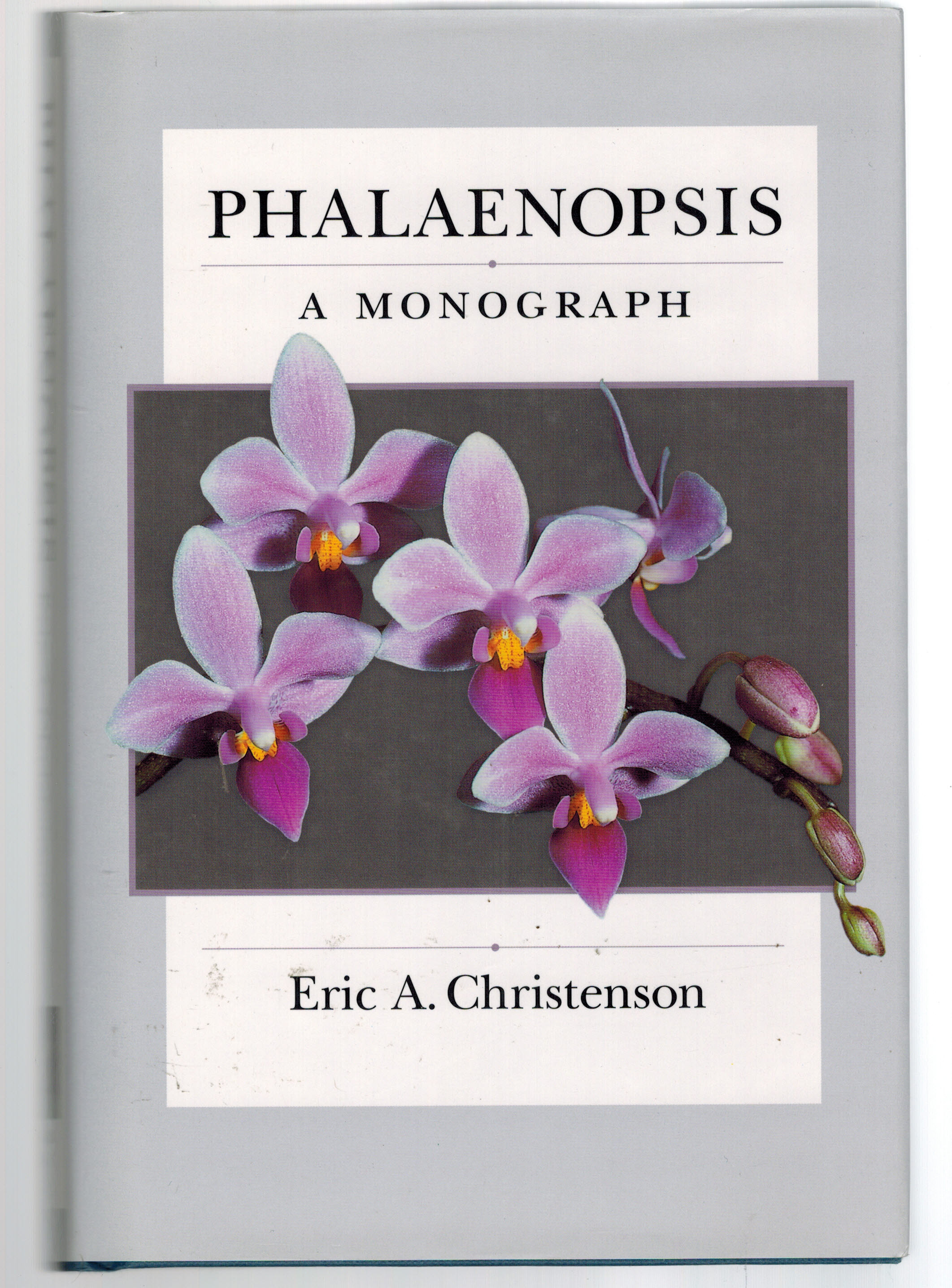 Phalaenopsis: A Monograph by Christenson, Eric: As New Hardcover (2001) 1st Edition | ! Turtle ...