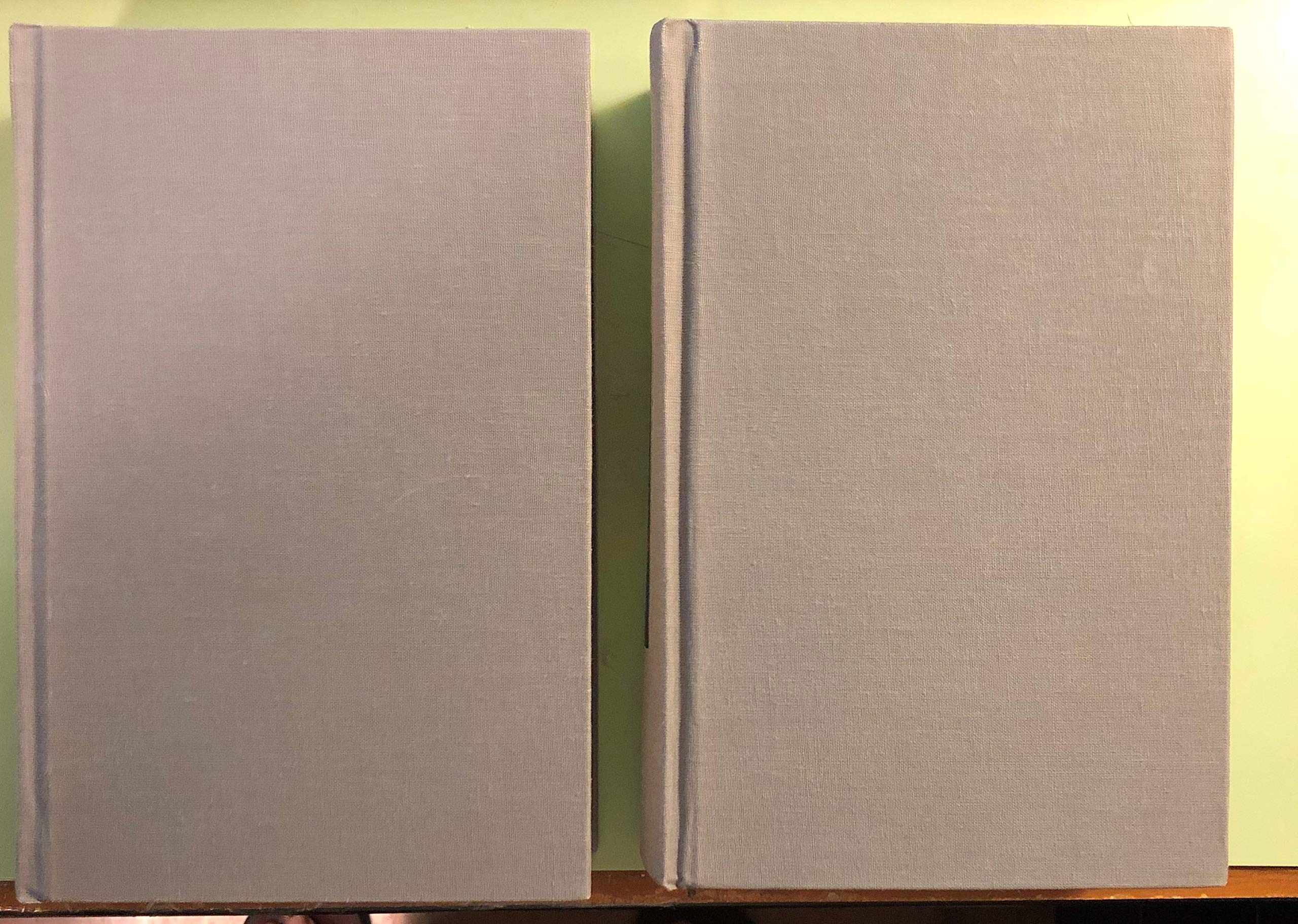 Nietzsche's Zarathustra: Notes of the Seminar Given in 1934 - 1939 (2 ...