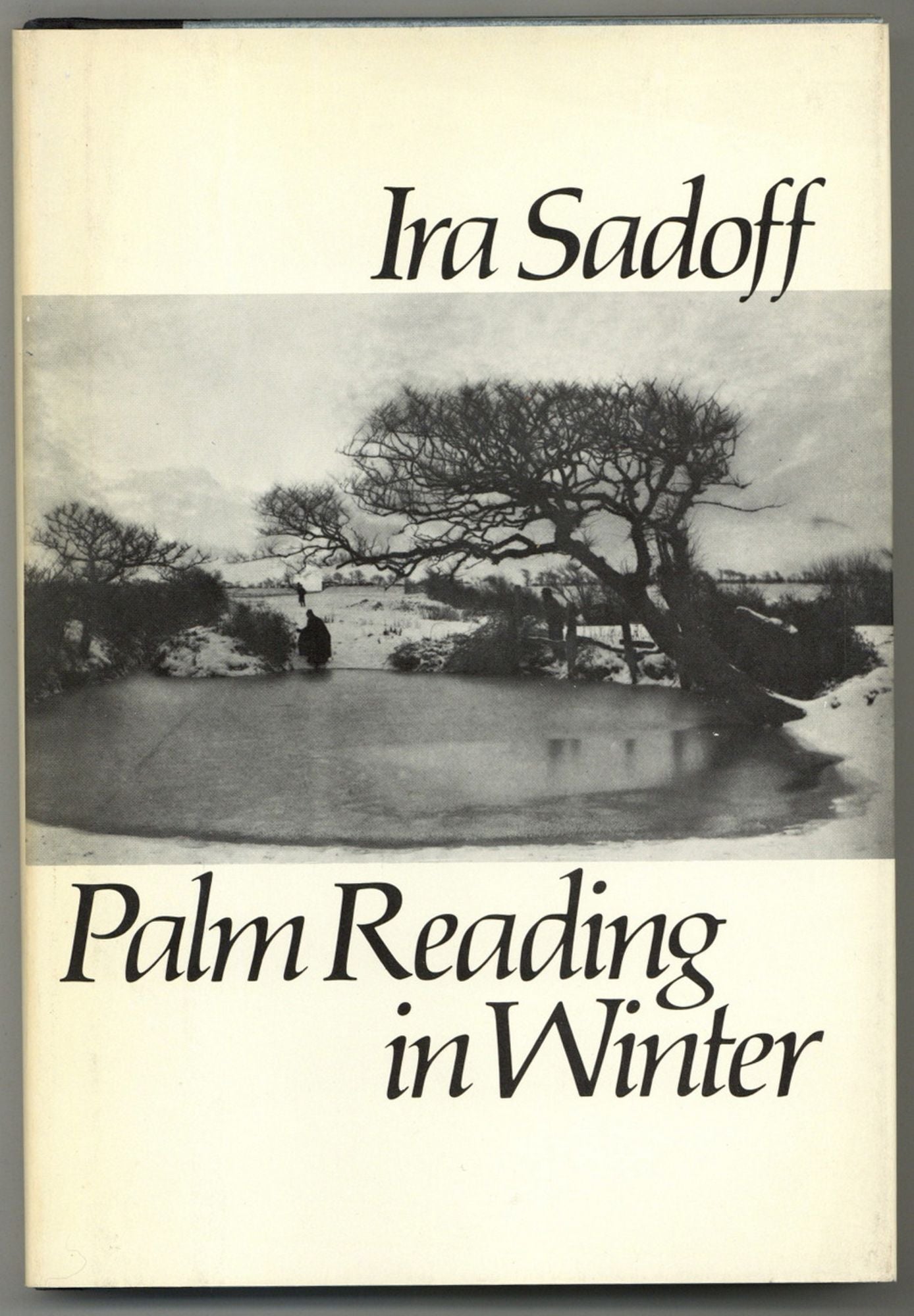 Palm Reading in Winter by SADOFF, Ira: Near Fine Hardcover (1978 ...