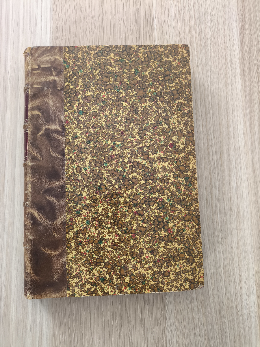 El enigma del matriarcado de Pablo Krische: Muy Bueno | LIBRERÍA OESTE