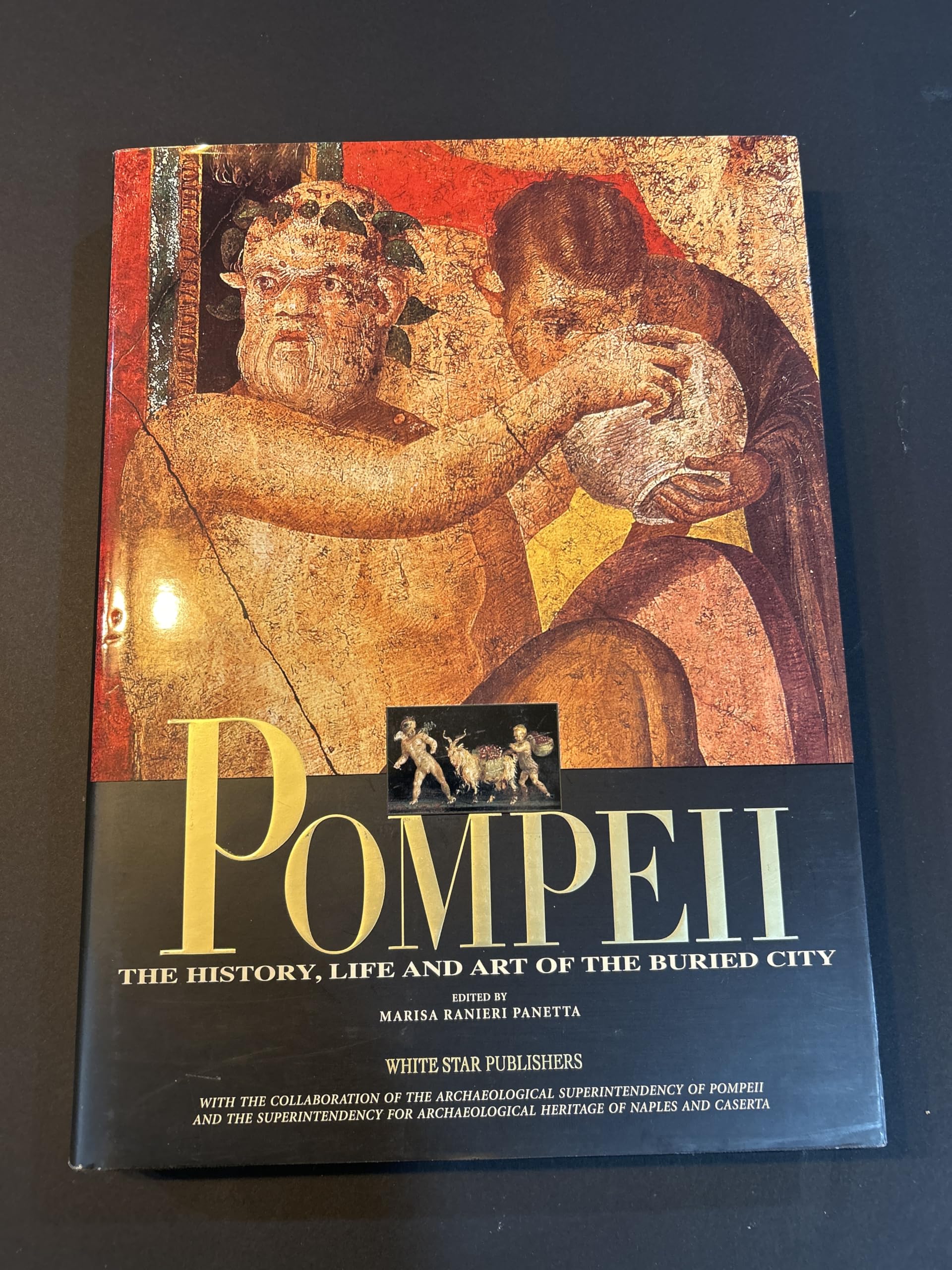 Pompeii: The History, Life and Art of the Buried City: acceptable (2010 ...