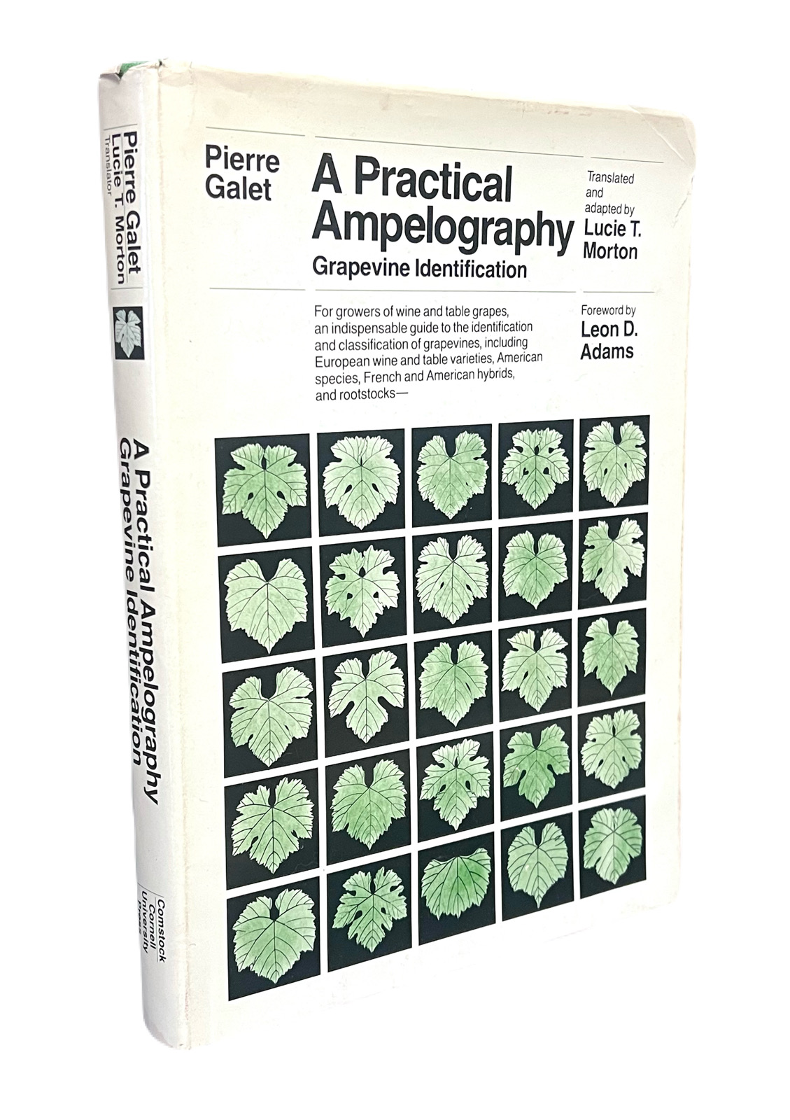A Practical Ampelography: Grapevine Identification (Comstock Bk) by ...