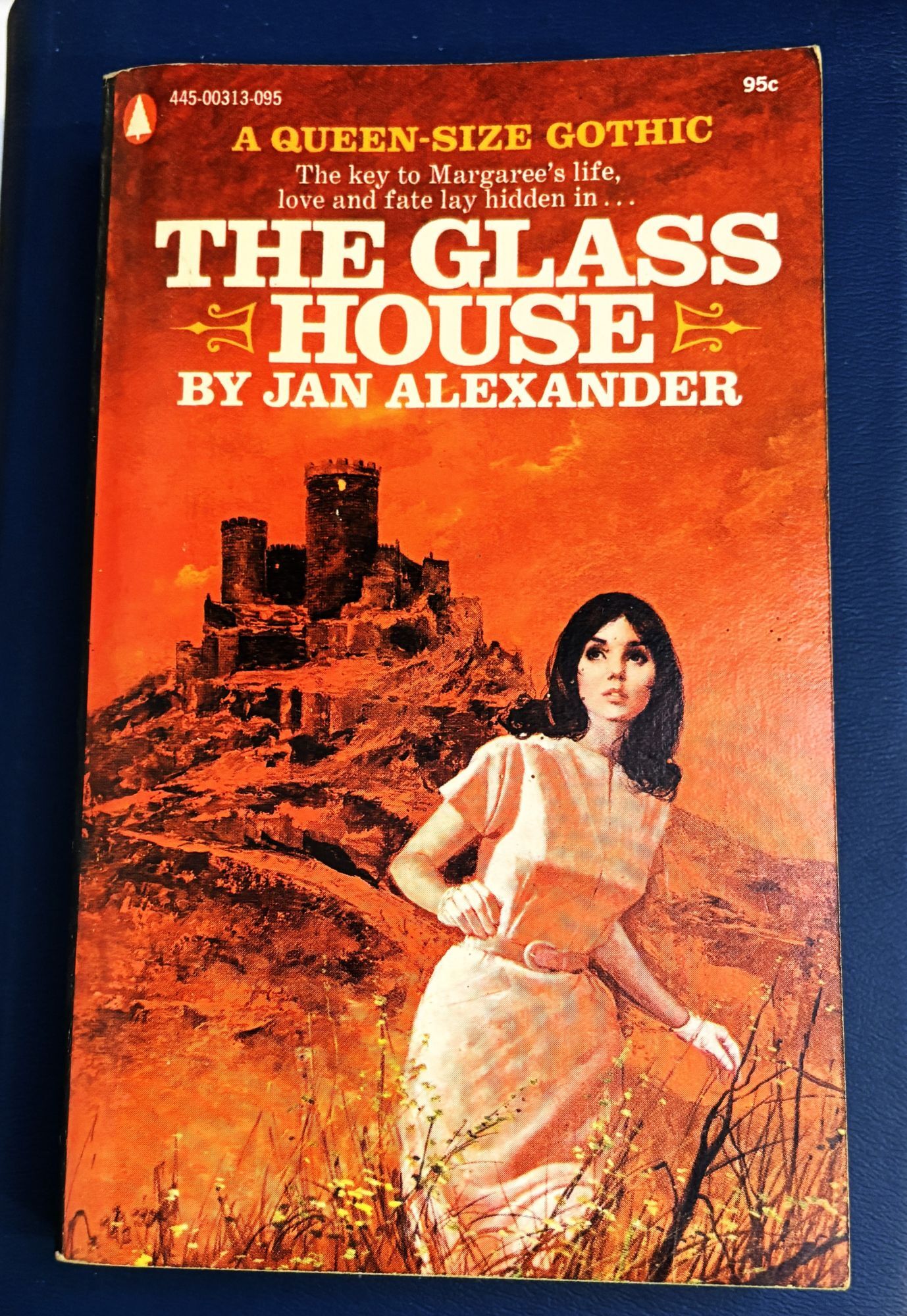 The Glass House by Jan Alexander: (1972) | My Book Heaven