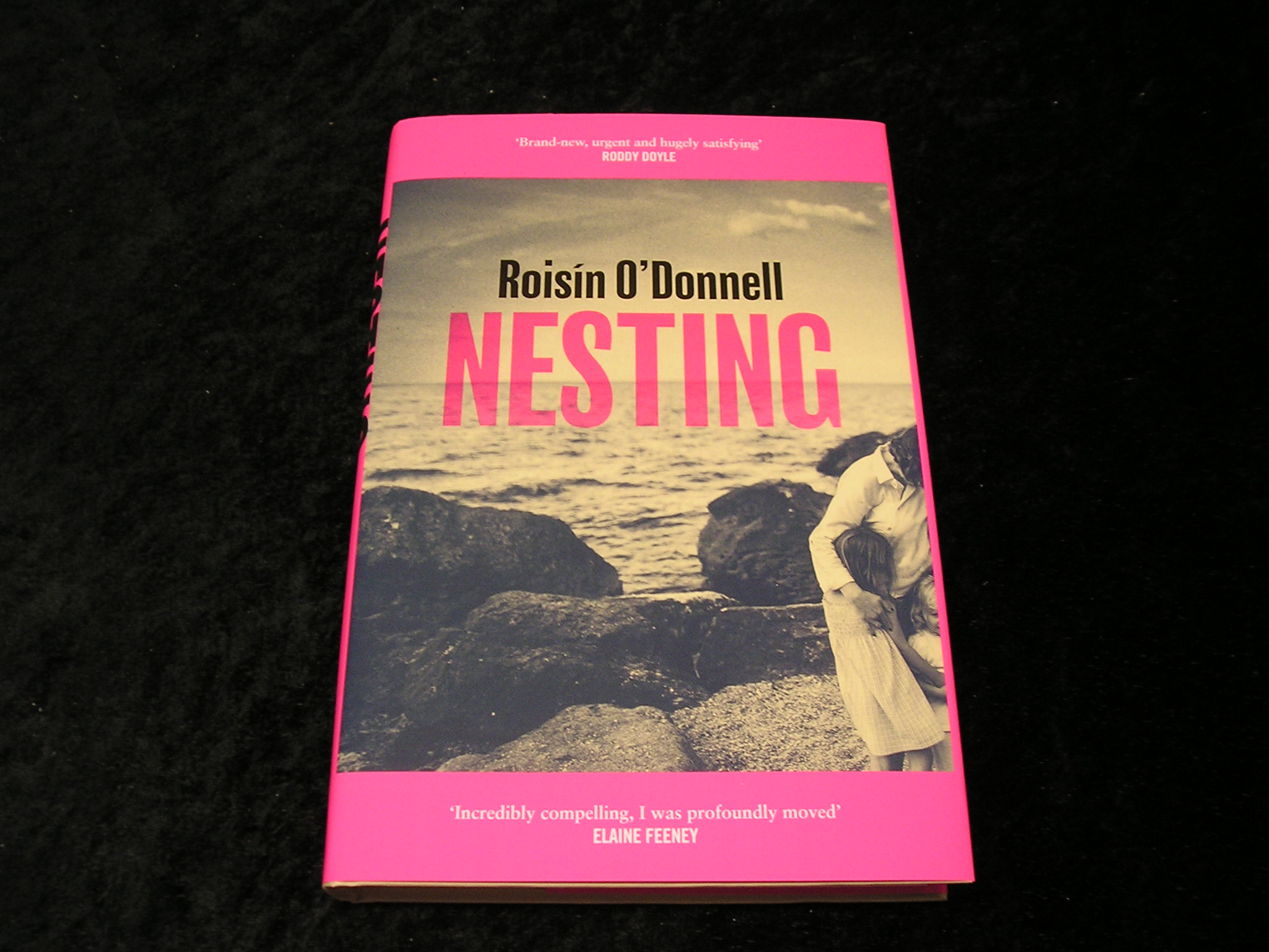 Nesting by Roisin O'Donnell: New Hardcover (2025) First Edition. | Yare ...