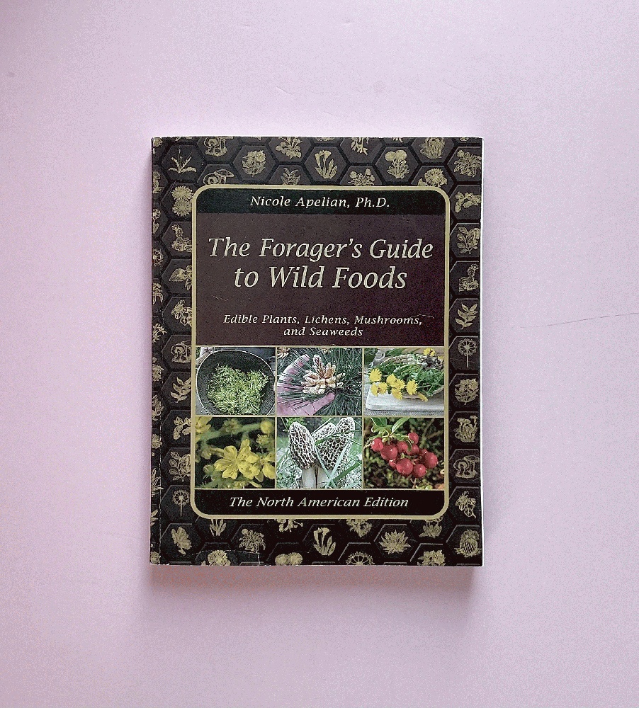 The Foragers Guide to Wild Foods: Edible Plants, Lichens, Mushrooms ...