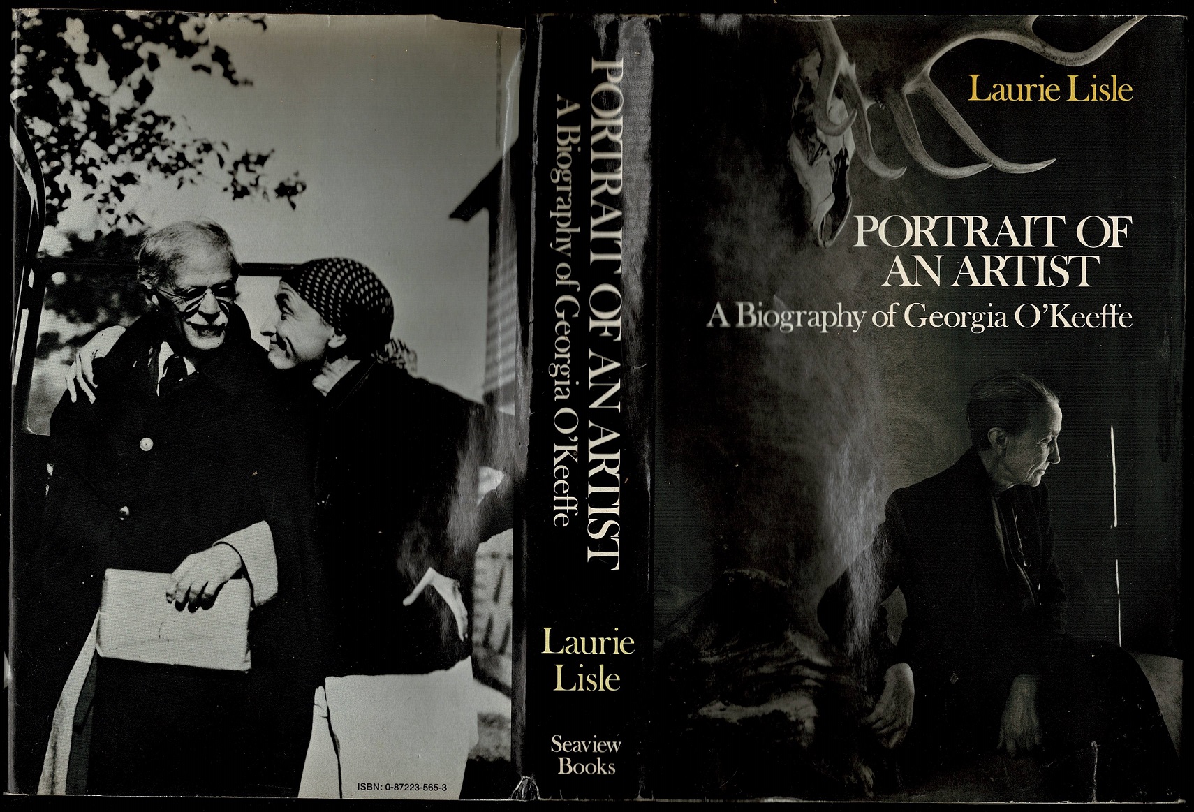 Portrait of an Artist: A Biography of Georgia O'Keeffe by Laurie Lisle ...