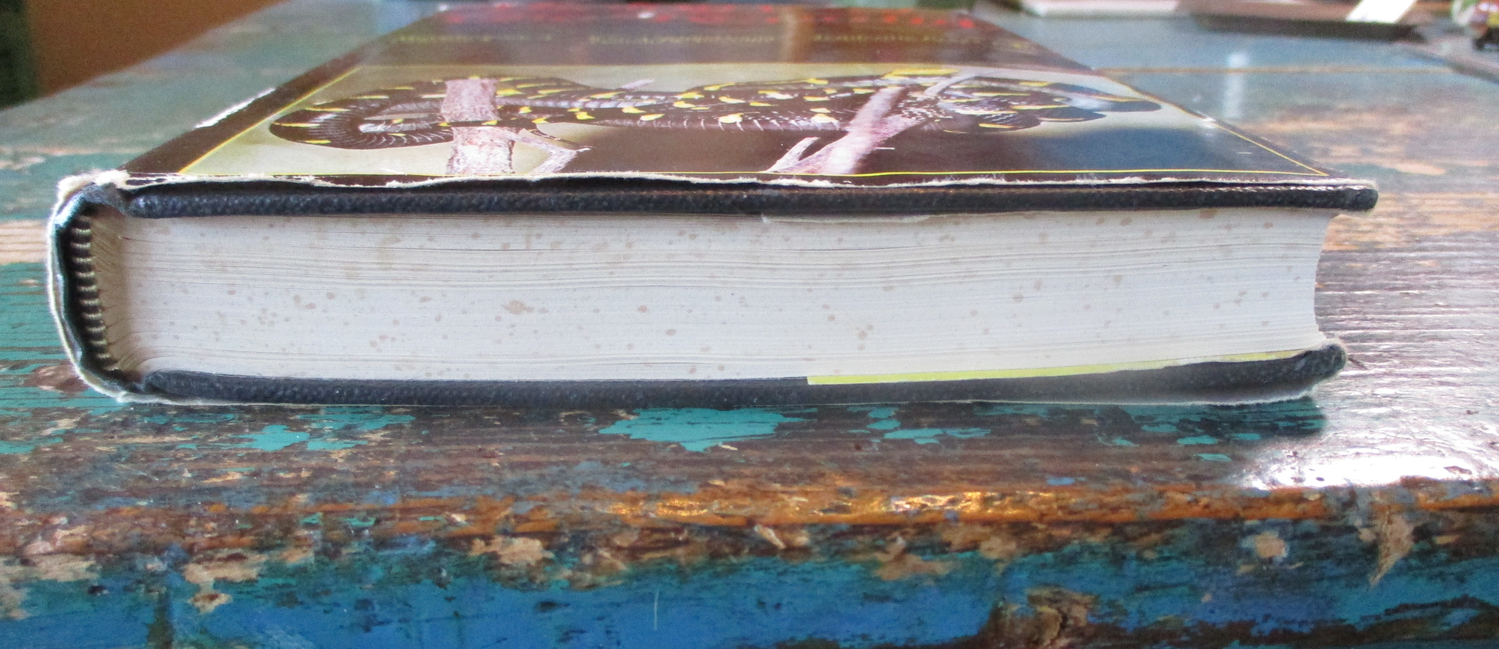 BIOLOGY OF THE REPTILIA, VOLUME 1 by CARL GANS, ET AL: Good Hardcover ...