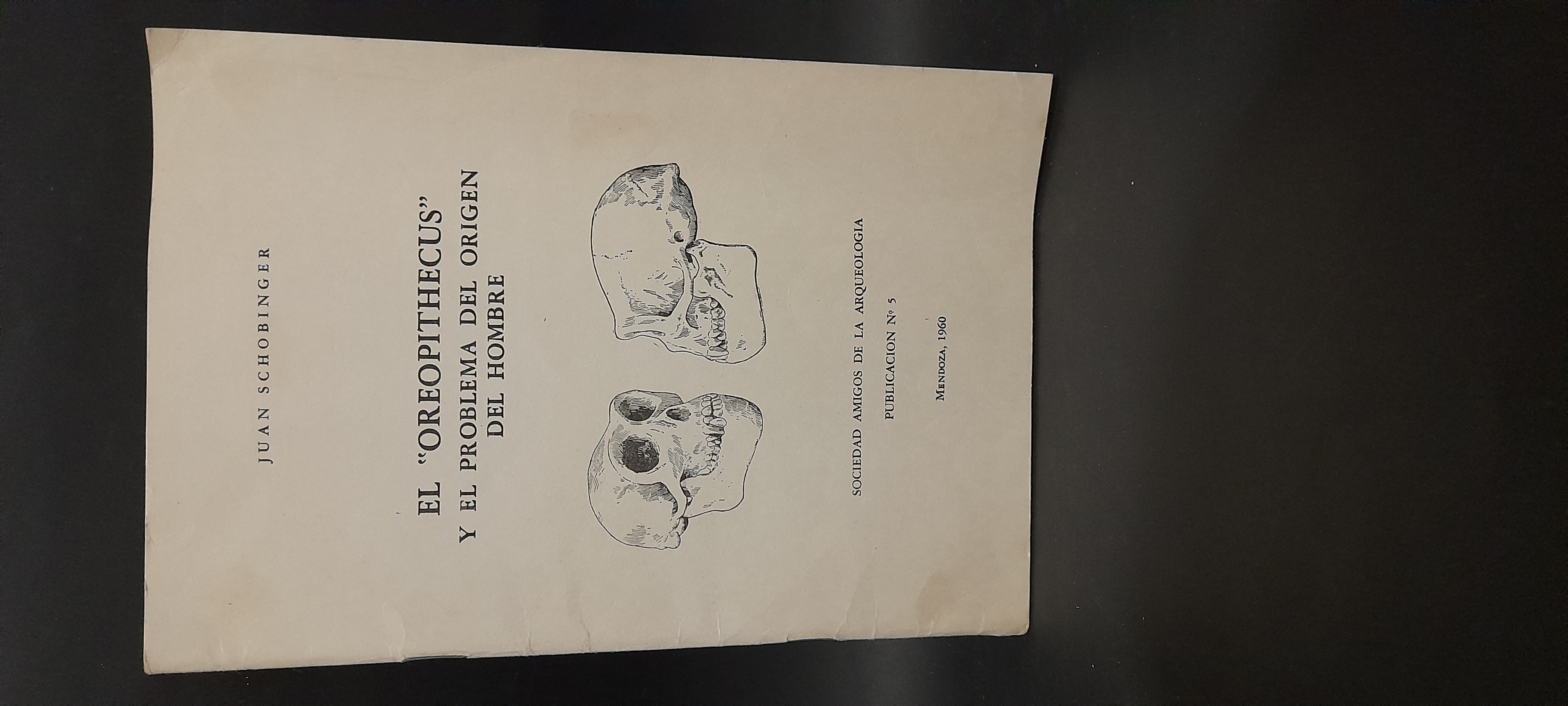 EL "OREOPITHECUS" Y EL PROBLEMA DEL ORIGEN DEL HOMBRE - PRIMERA EDICIÓN ...
