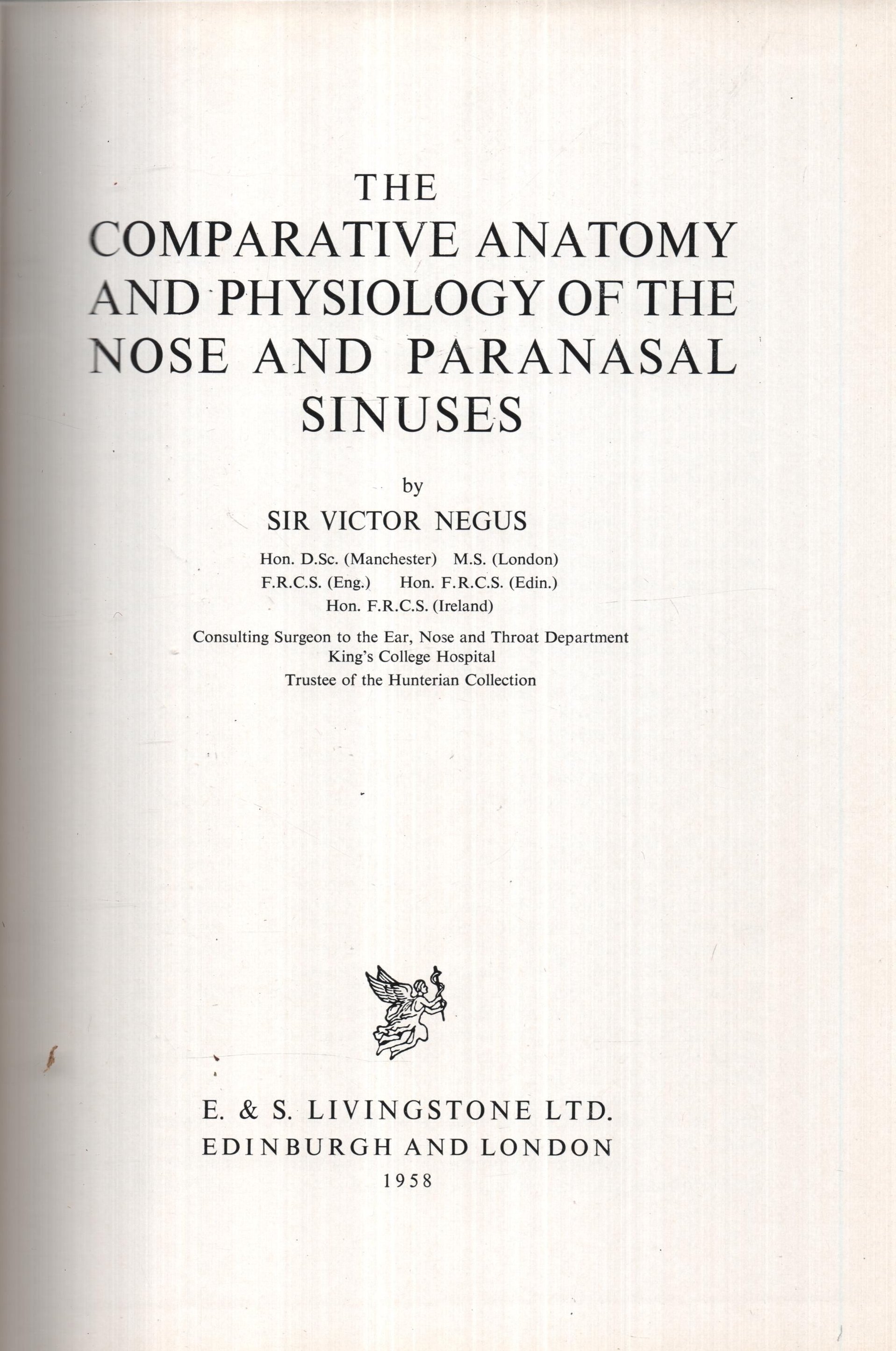 The Comparative Anatomy and Physiology of the Nose and Paranasal ...