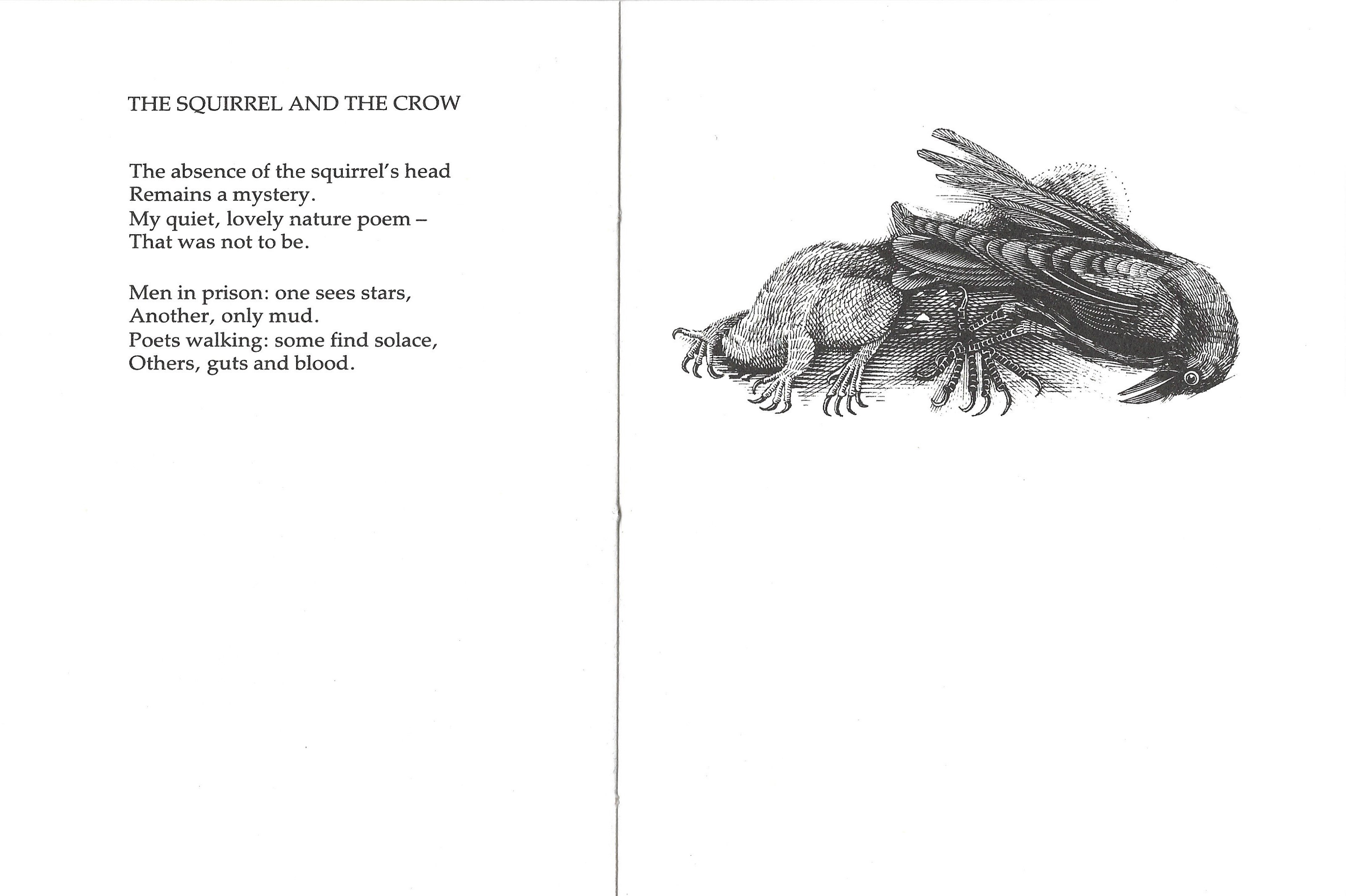 The Squirrel & The Crow [Publisher's own copy] by Wendy Cope: Fine Soft ...