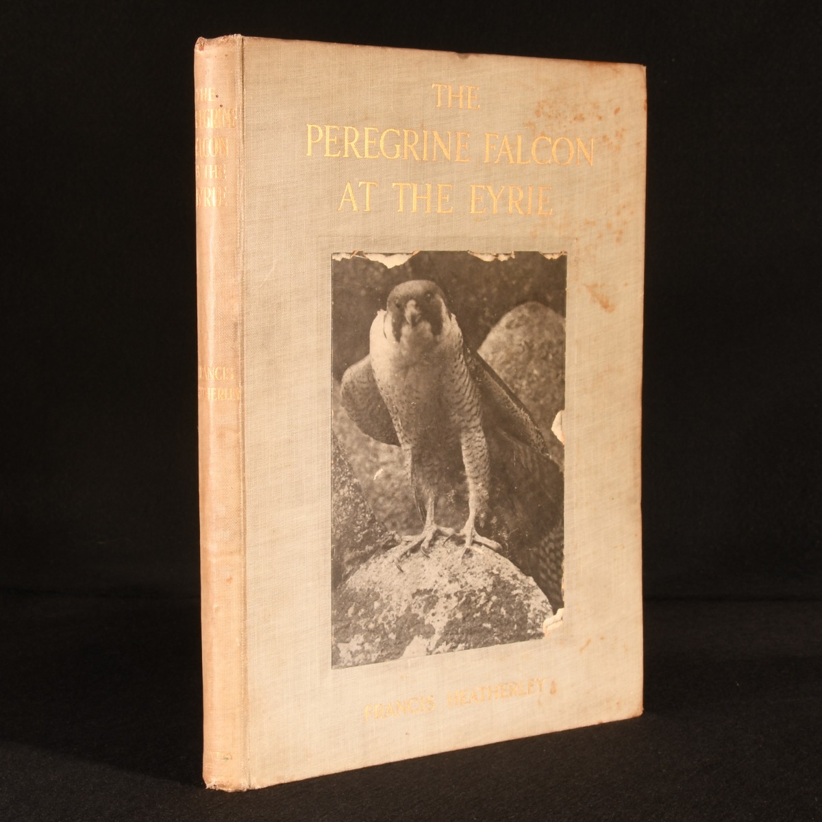 The Peregrine Falcon at the Eyrie by Francis Heatherley: Good Cloth ...