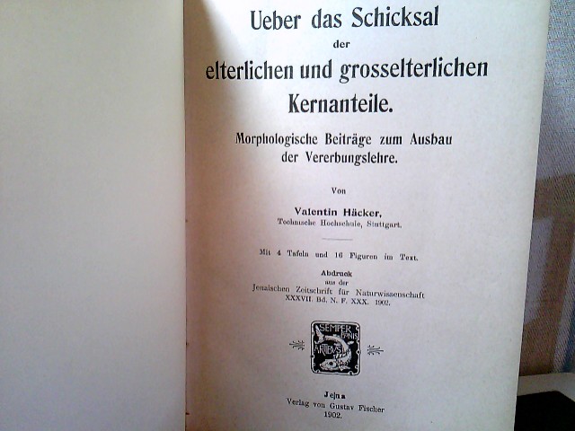 Ueber das Schicksal der elterlichen und grosselterlichen Kernanteile ...