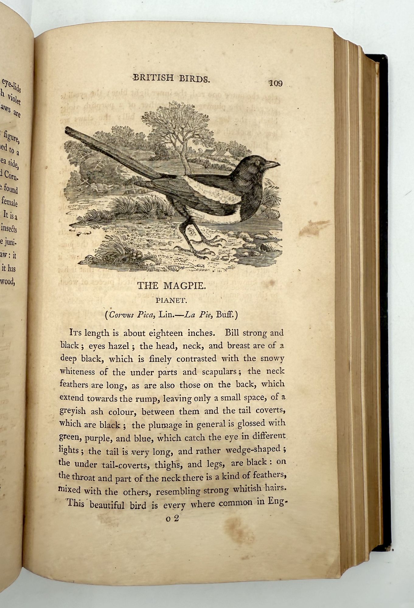 A History of British Birds. Engraved on Wood by Thomas Bewick. Part I ...
