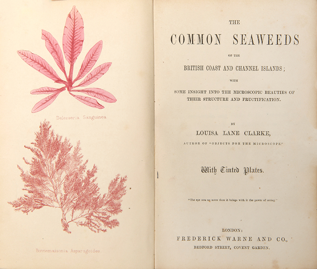 The Common Seaweeds of the British Coast and Channel Islands; with some ...