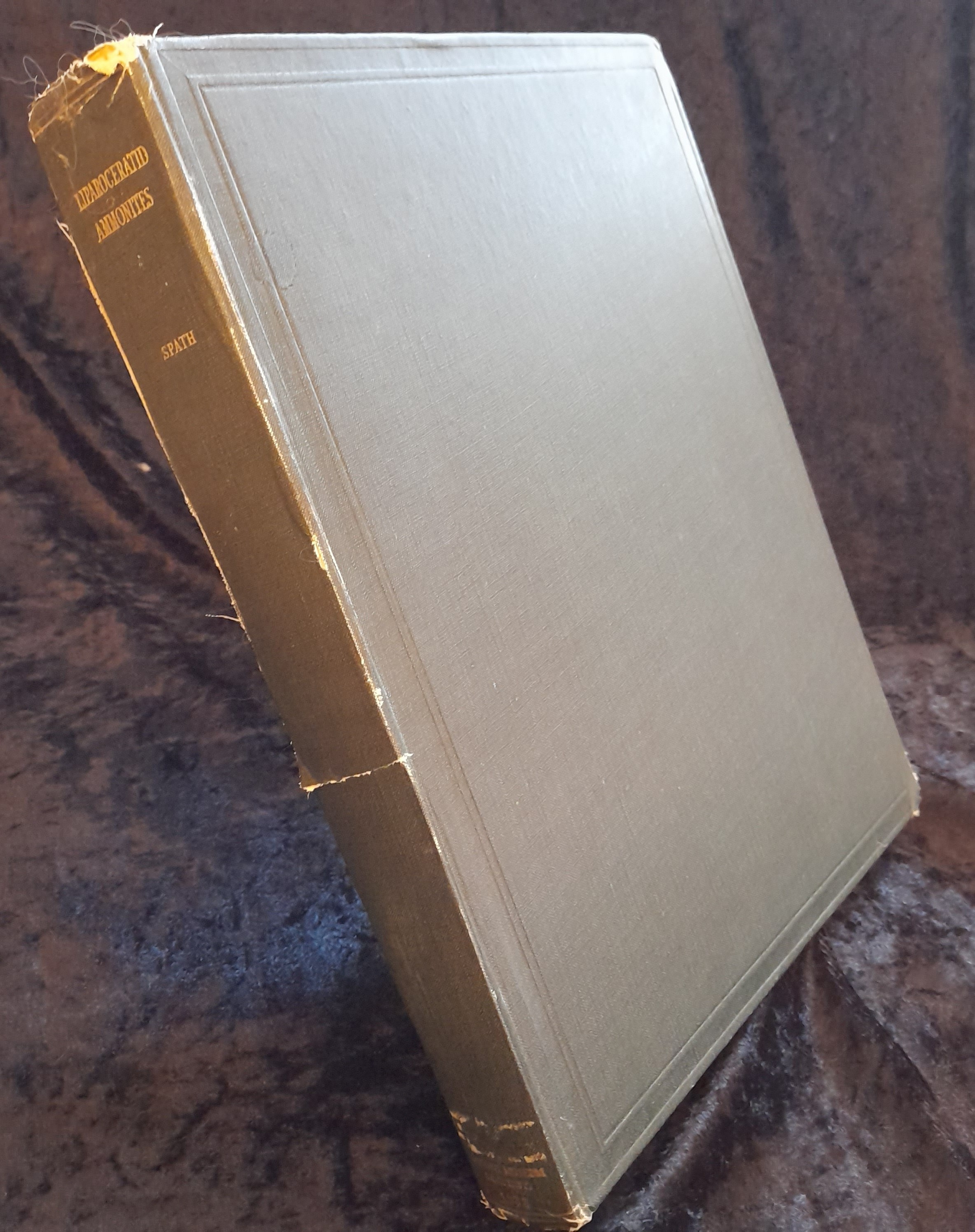 A Catalogue of the Ammonites of the Liassic Family Liparoceratide, in ...