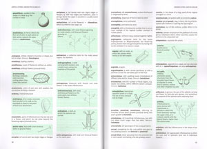 The Kew plant glossary: an illustrated dictionary of plant terms. by ...