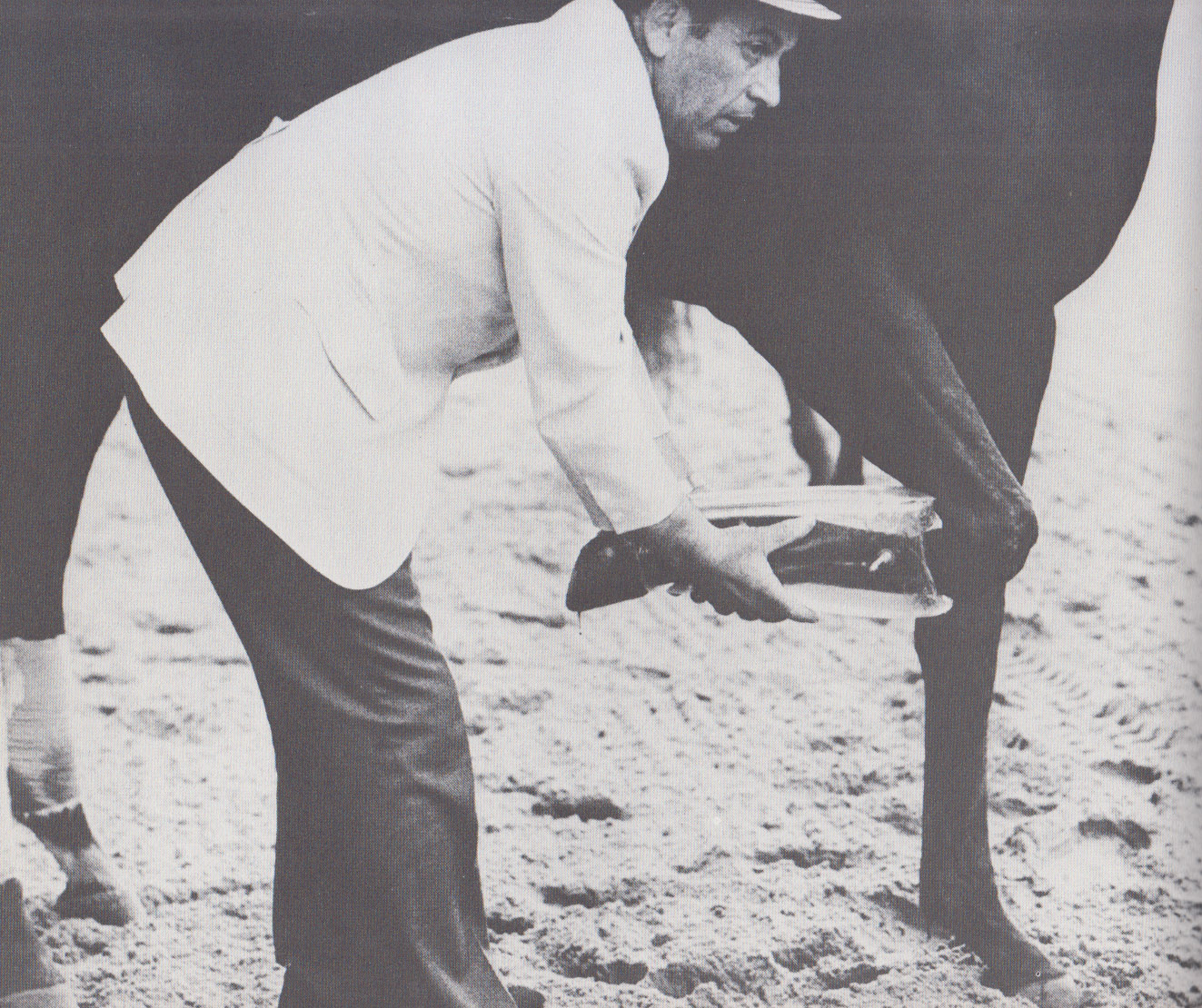 Ruffian: Queen of the Filllies by Claflin, Edward: Near Fine Hardcover ...