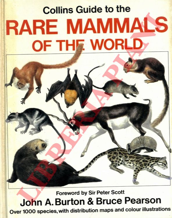 Collins Guide to the Rare Mammals of the World. von BURTON John A ...
