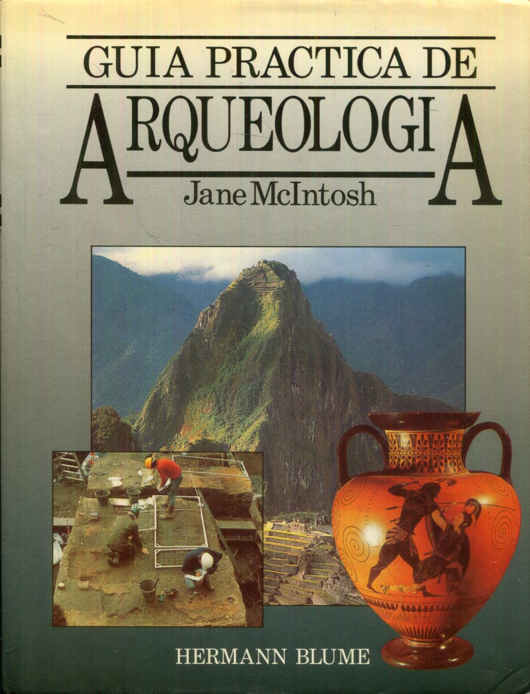 Guía práctica de arqueología by McIntosh, Jane: (1987) | Rincón de Lectura