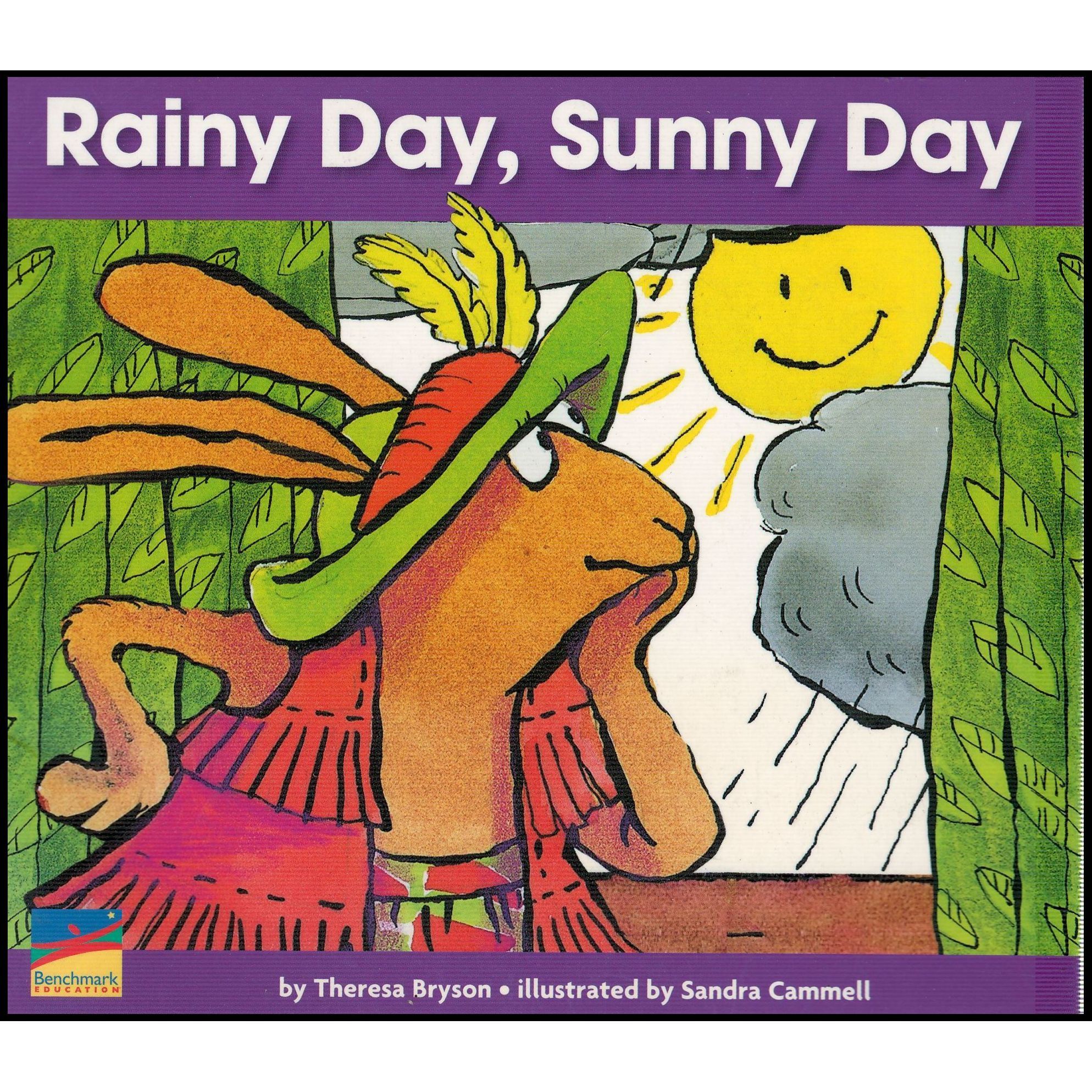 Rainy Day, Sunny Day (Paperback) par Theresa Bryson: New Bookstore ...