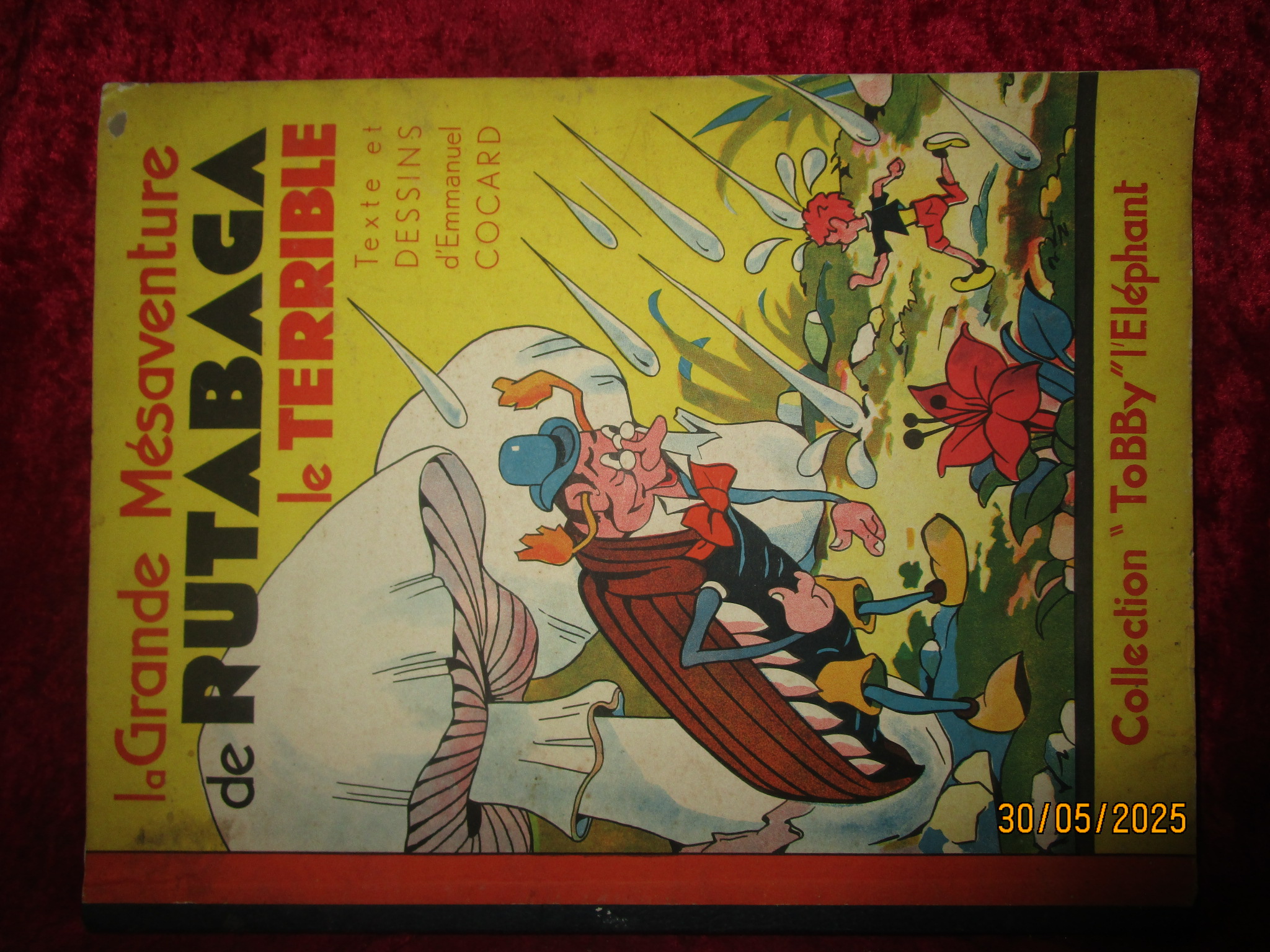 LA GRANDE MÈSAVENTURE de RUTABAGA LE TERRIBLE by COCARD Emmanuel ...