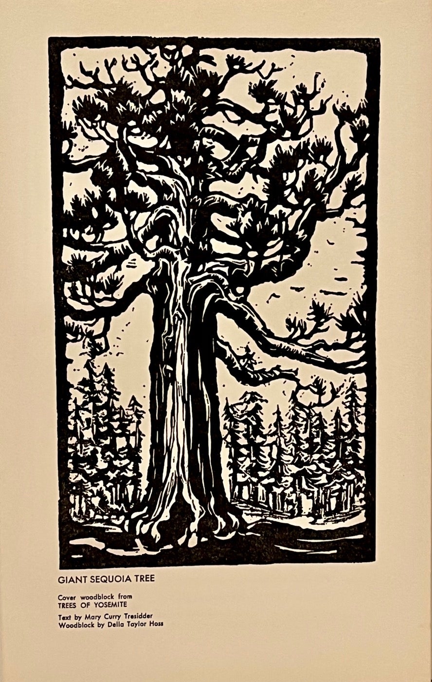 Yosemite Ahwahnee Hotel Menu - Giant Sequoia Tree de Della Taylor Hoss ...