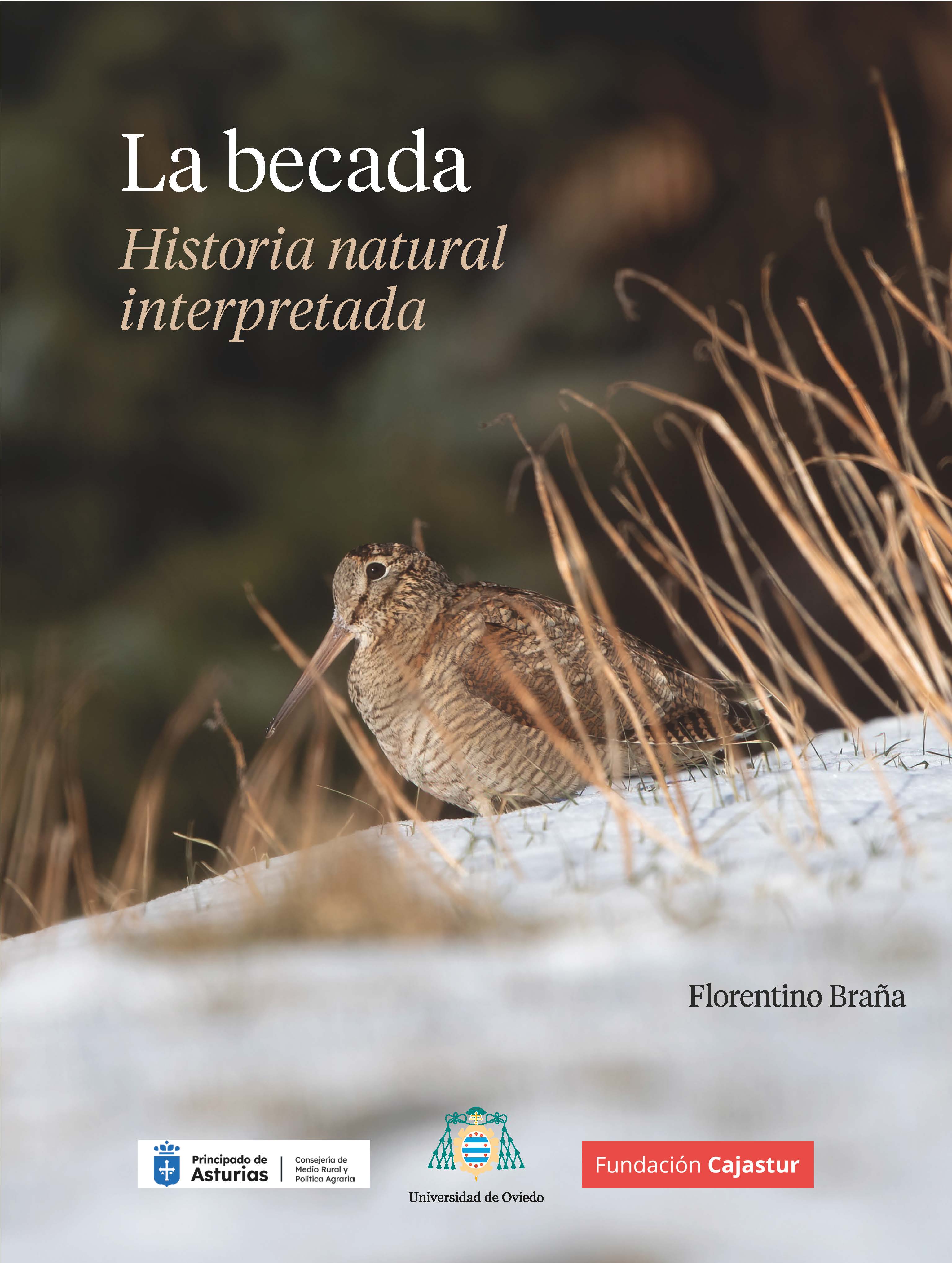 BECADA. Historia natural interpretada, LA by BRAÑA, FLORENTINO: Nuevo ...