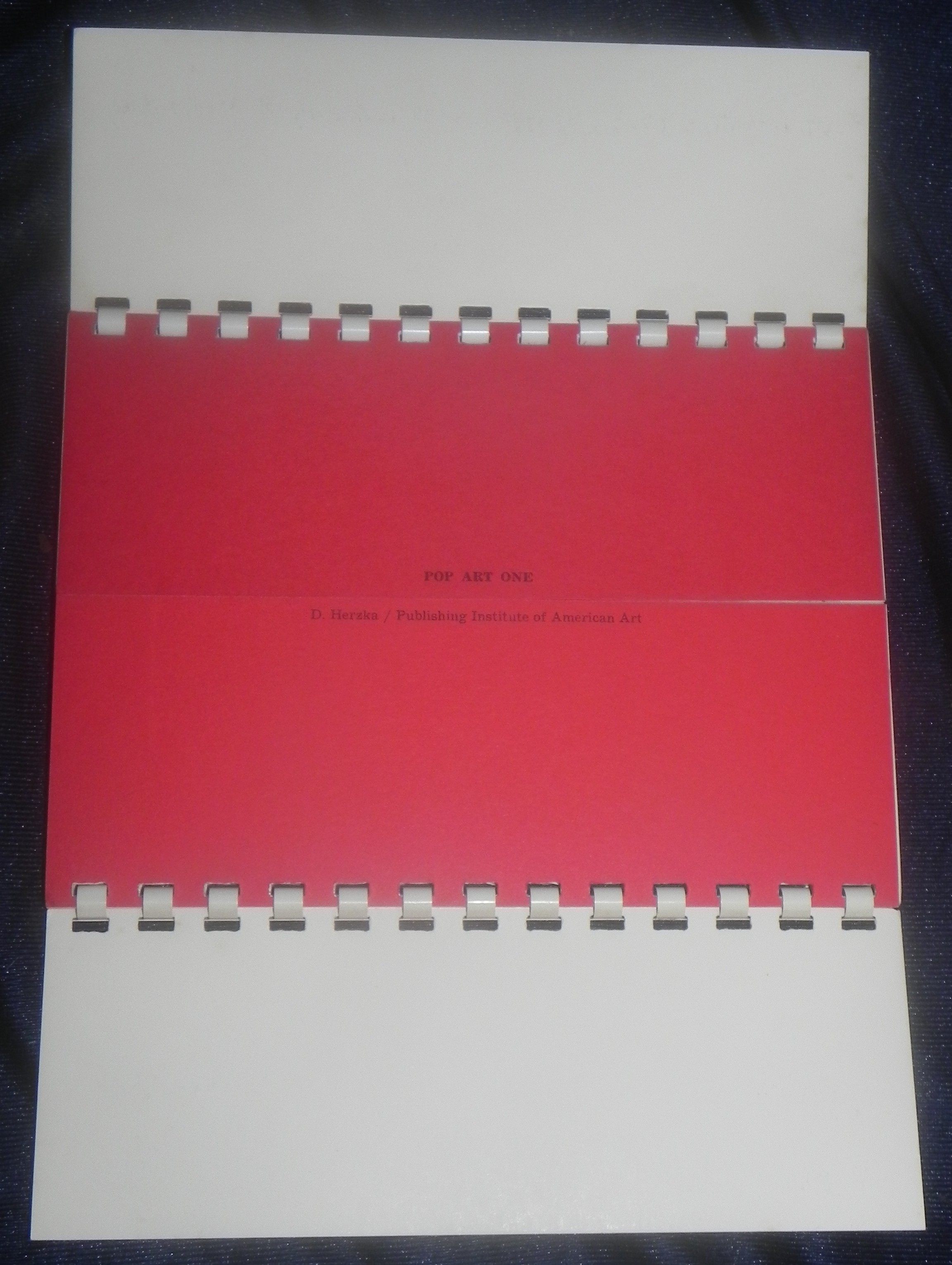 Pop Art One Jasper Johns Lichtenstein Warhol 1st Ed 1965: Very Good ...