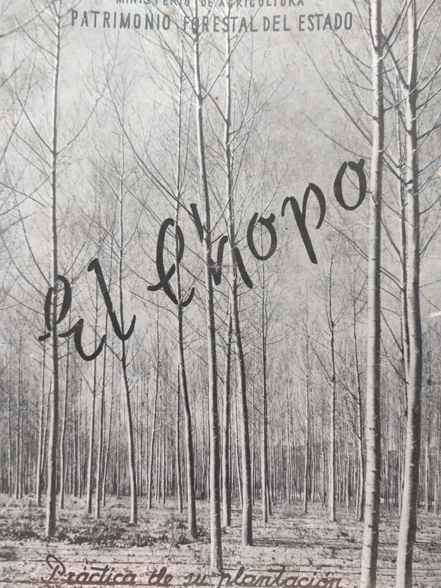 EL CHOPO. Práctica de su plantación y tratamiento. von Fernando Jaime Fanlo: Bueno (1956 ...