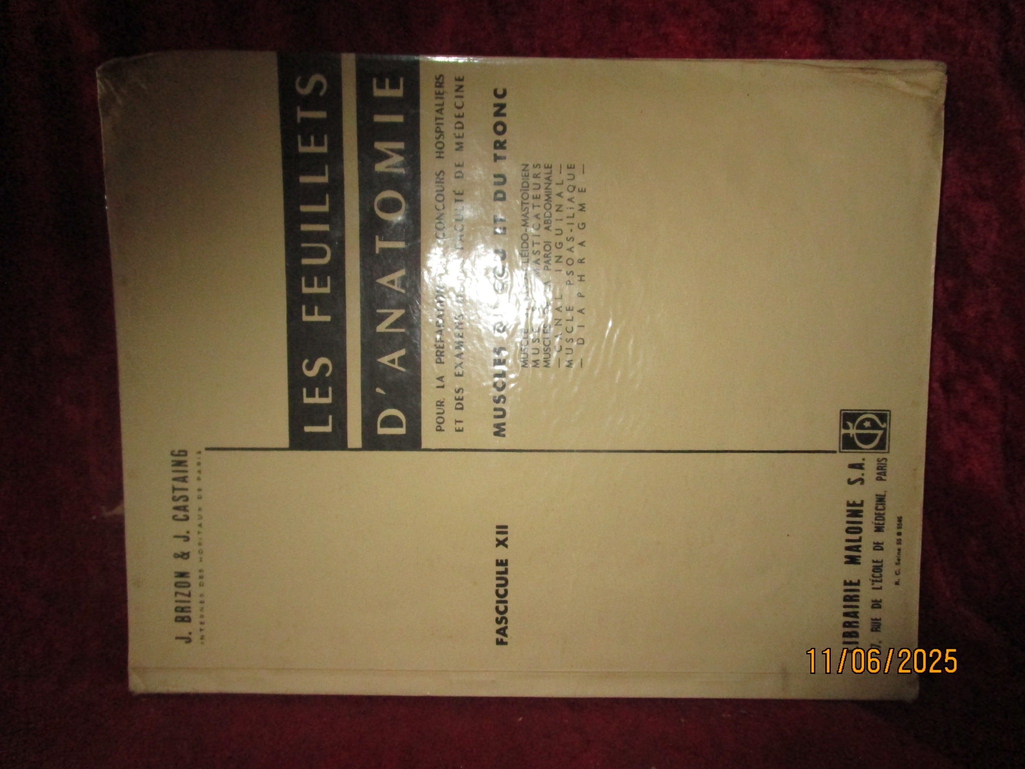 LES FEUILLES D'ANATOMIE - FASCICULE XII : MUSCLES DU COU ET DU TRONC by ...