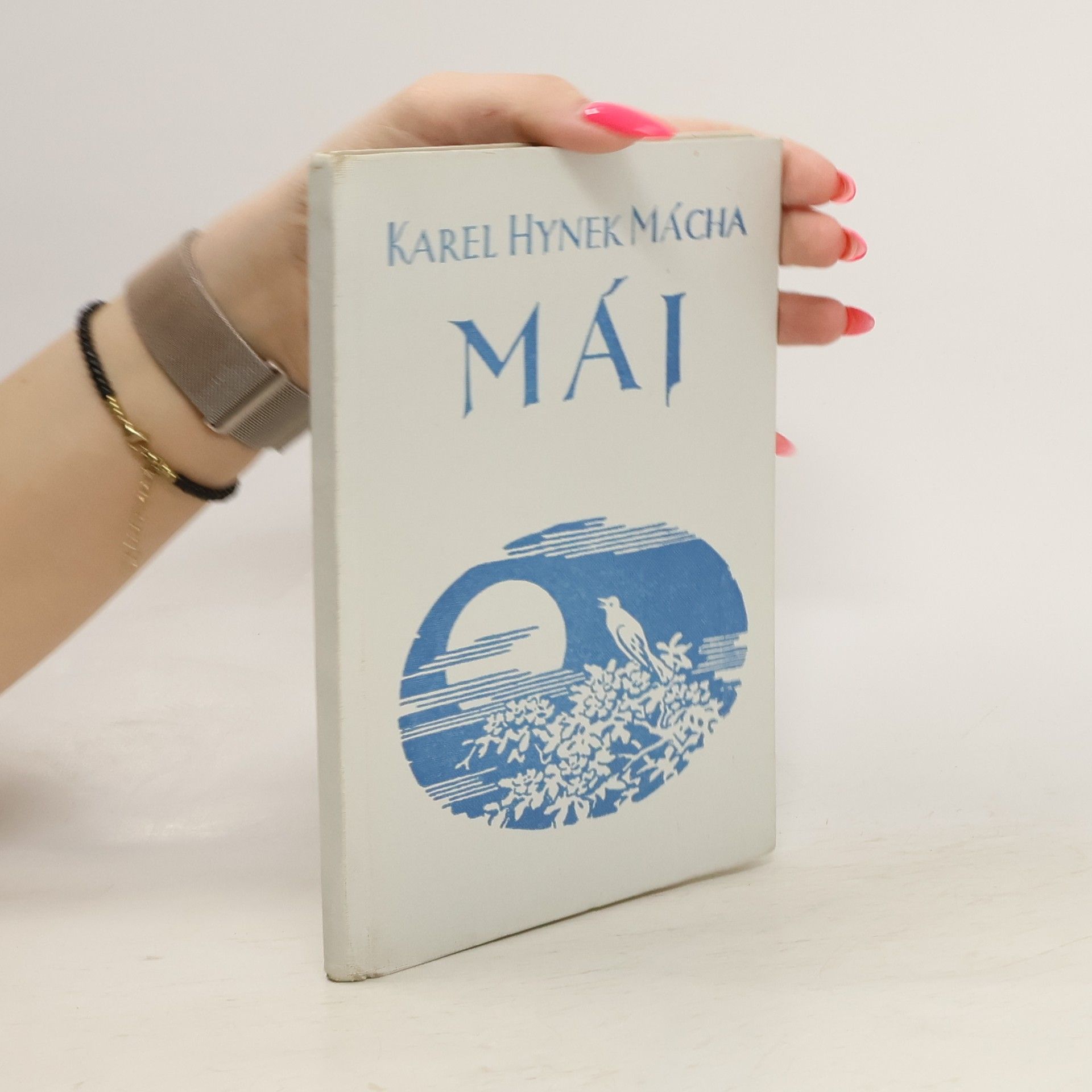 Máj von Karel Hynek Mácha: Fair | Bookbot