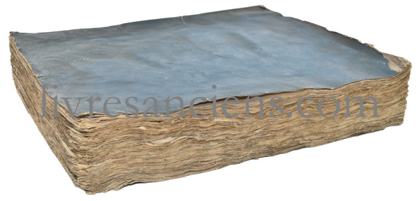 Histoire de l'Anatomie by LAUTH, Thomas: Très bon Couverture rigide ...