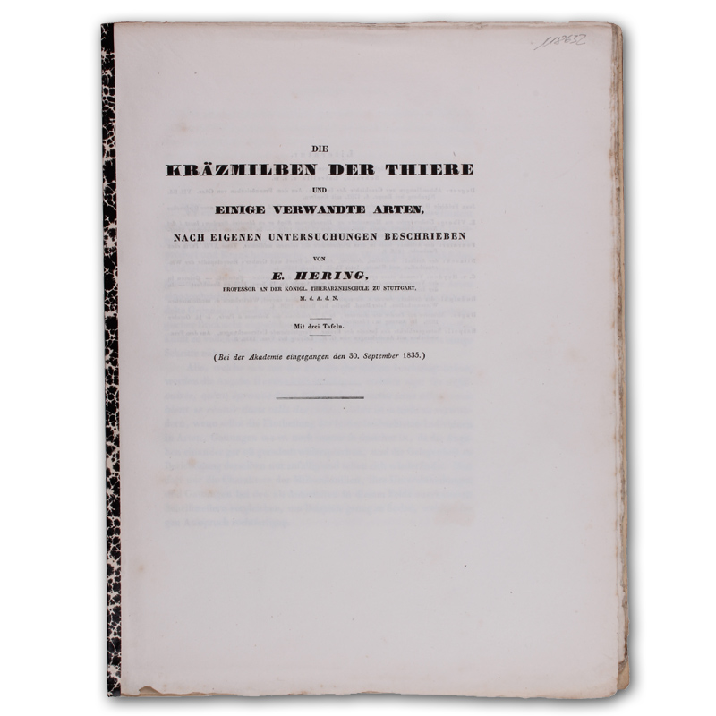 Die Kräzmilben der Thiere und einige verwandte Arten. Nach eigenen ...