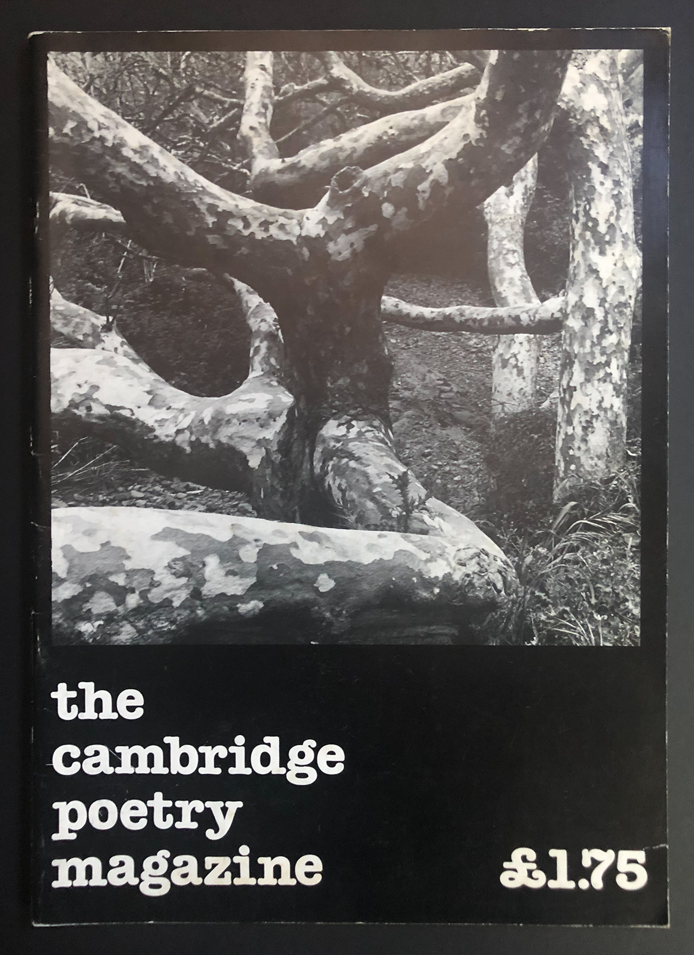 The Cambridge Poetry Magazine (Autumn 1983) by Cooney, Rian (ed.), William Everson (Brother ...