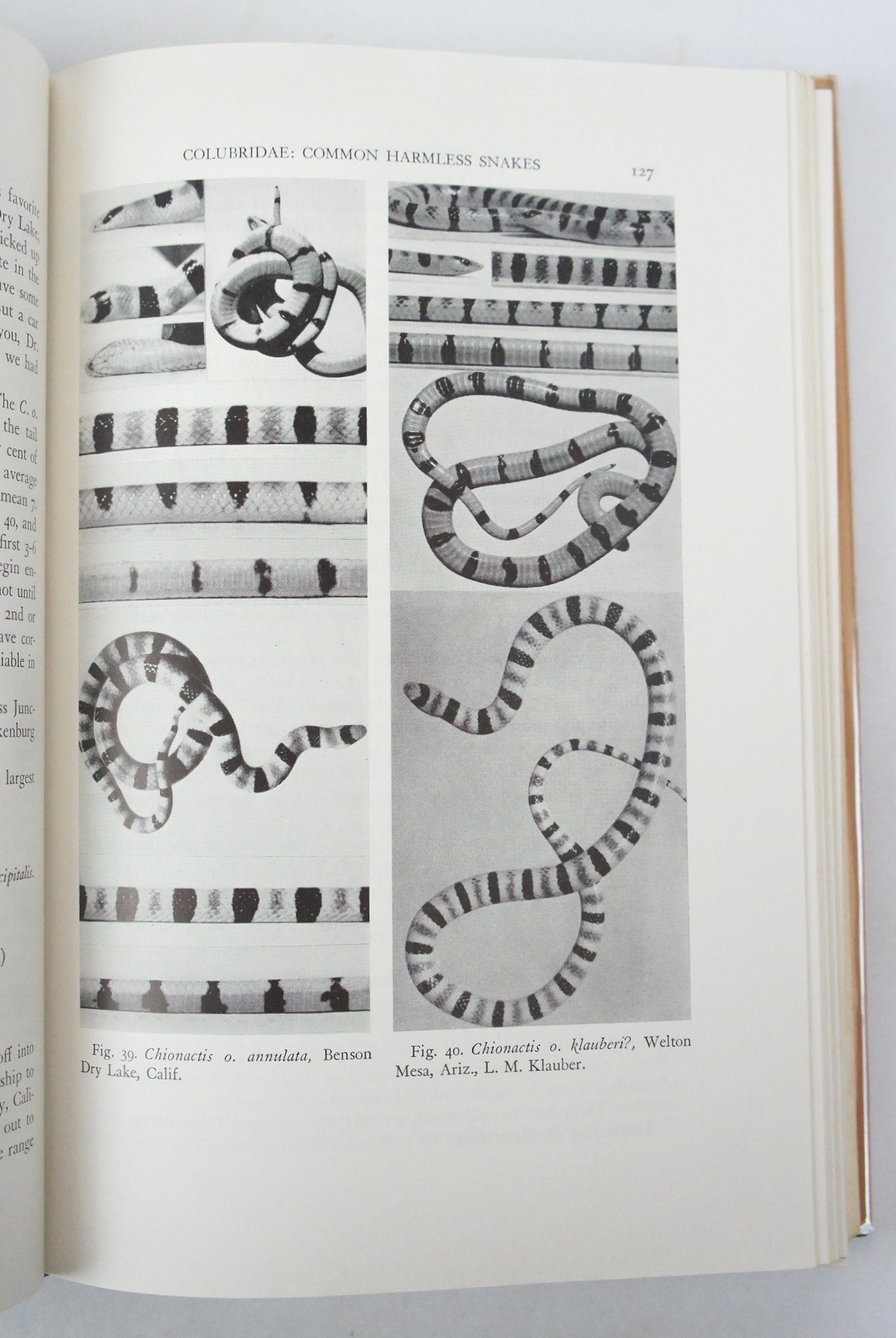 Handbook of Snakes of the United States and Canada (First Edition) by ...