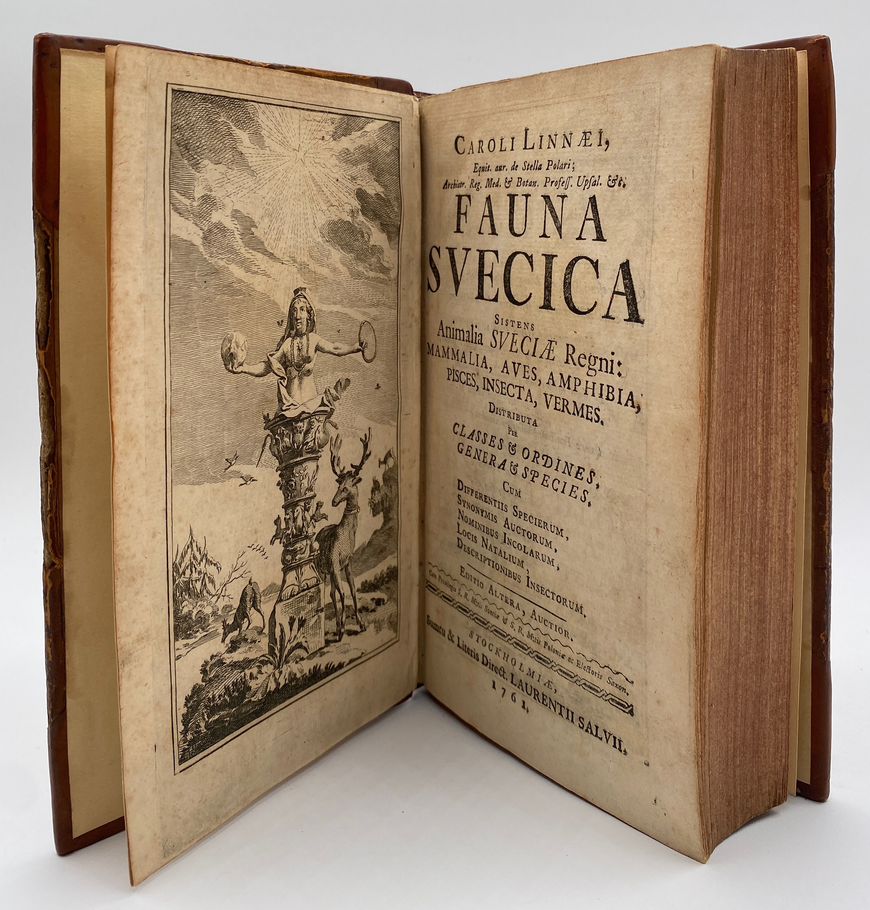 FAUNA SVECICA Sistens Animalia Sveciae Regni: Quadrupedia, Aves ...