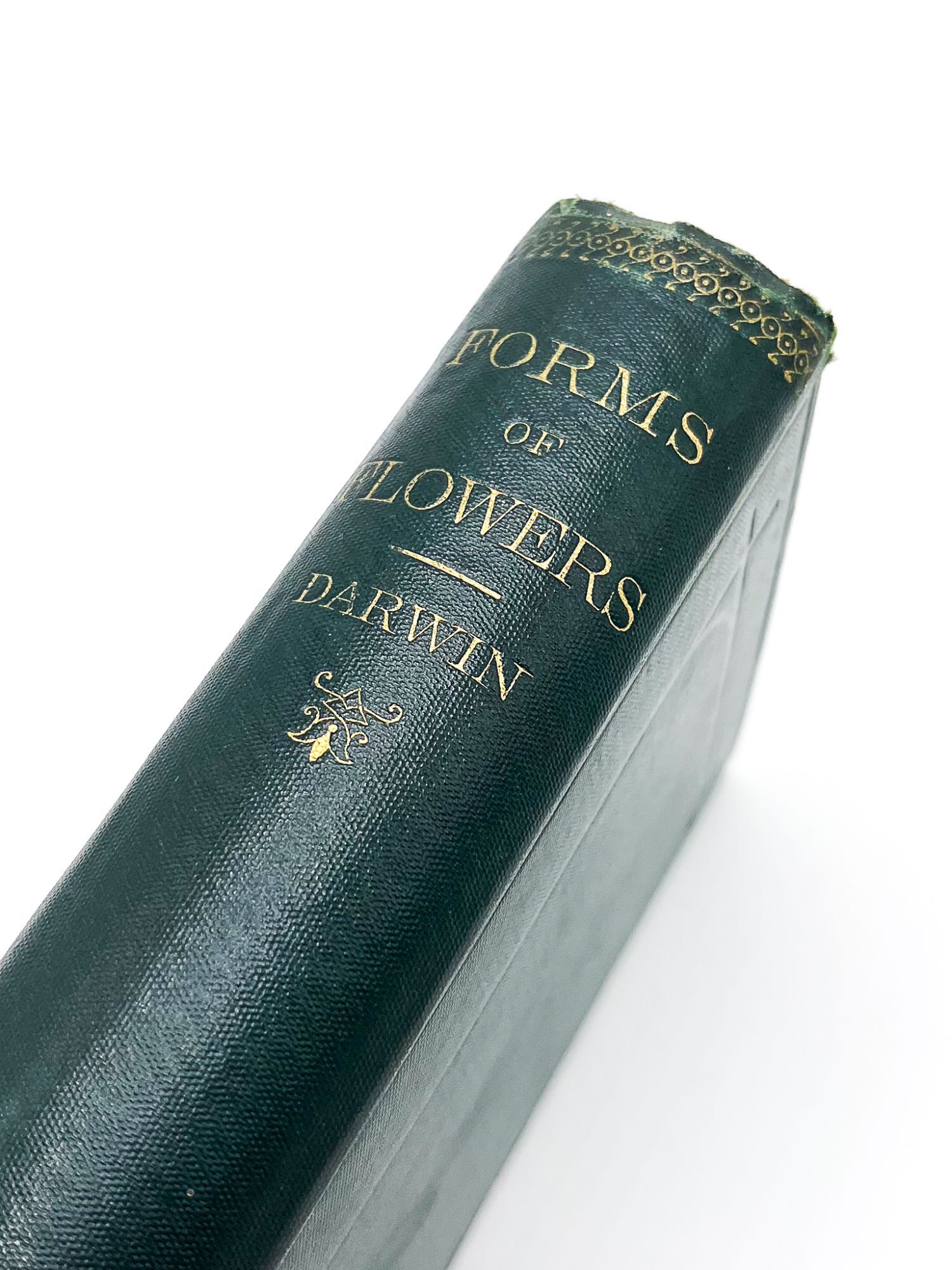 THE DIFFERENT FORMS OF FLOWERS ON PLANTS OF THE SAME SPECIES by Darwin ...