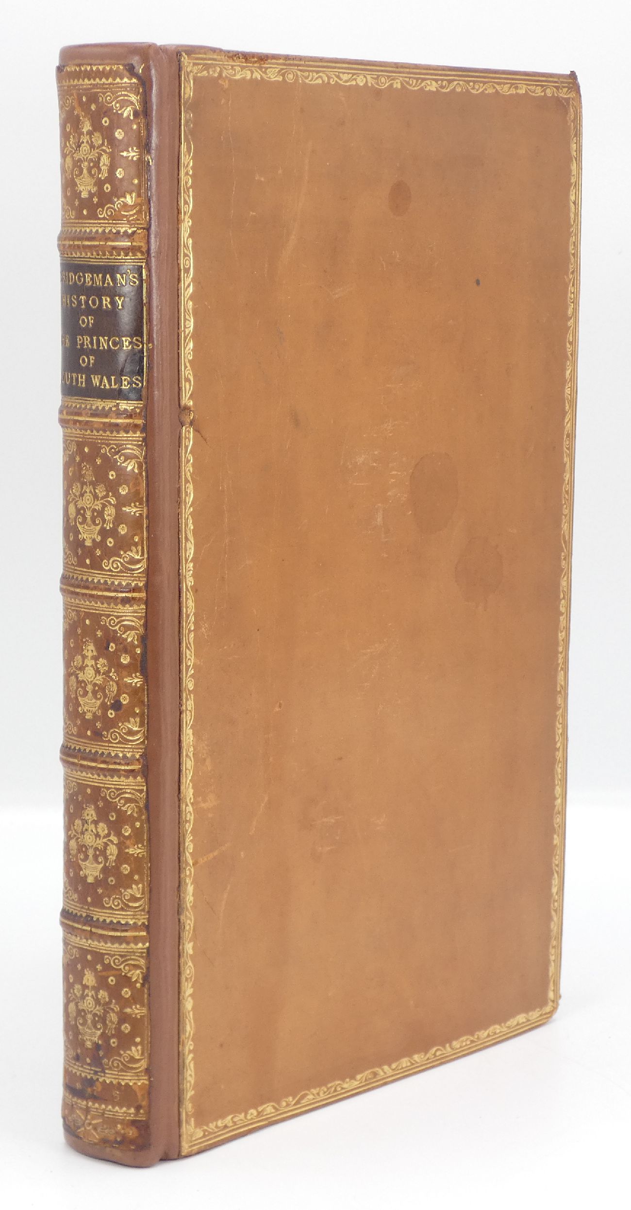 History of the Princes of South Wales de Bridgeman, George T. O.: Very Good Hard Cover (1876 ...