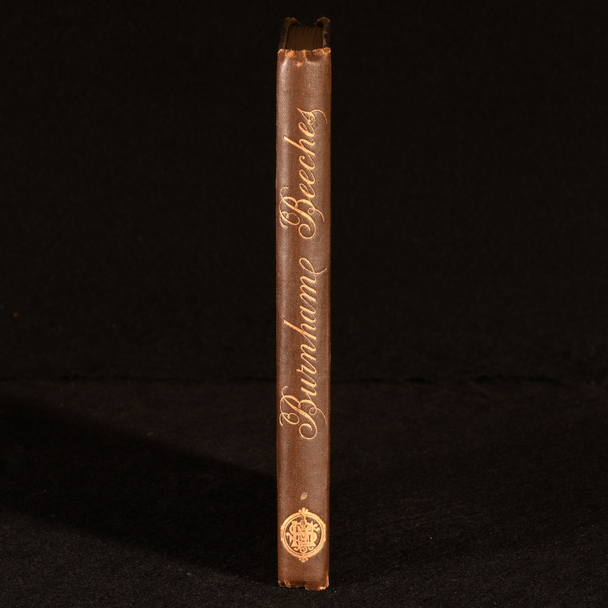 Burnham Beeches by Francis George Heath: Very Good Cloth (1879) | Rooke ...