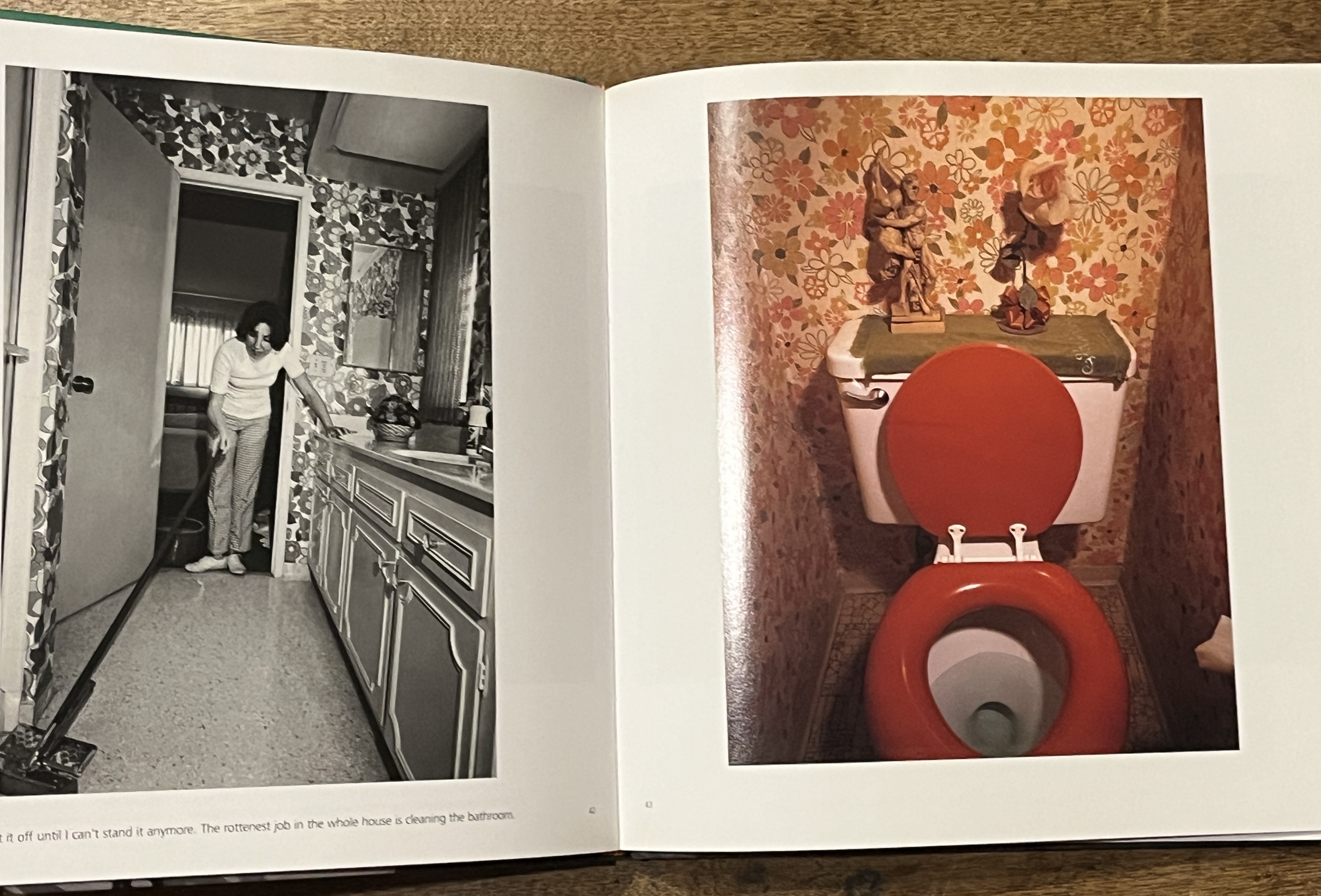 Suburbia by Owens, Bill; Robert Harshorn Shimshak (Ed) & David ...