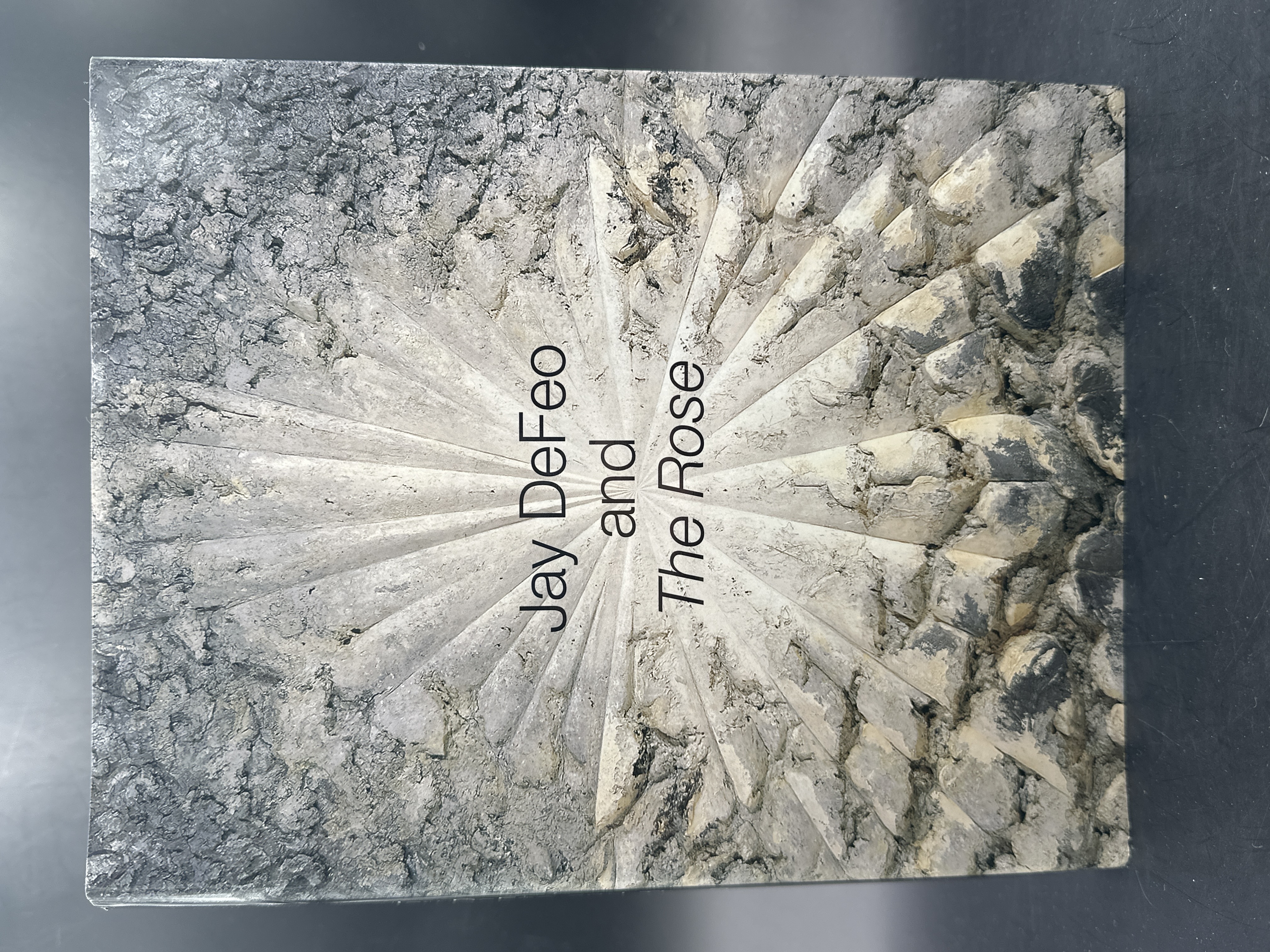 Jay DeFeo and The Rose (First Edition) by Jane Green and Leah Levy ...