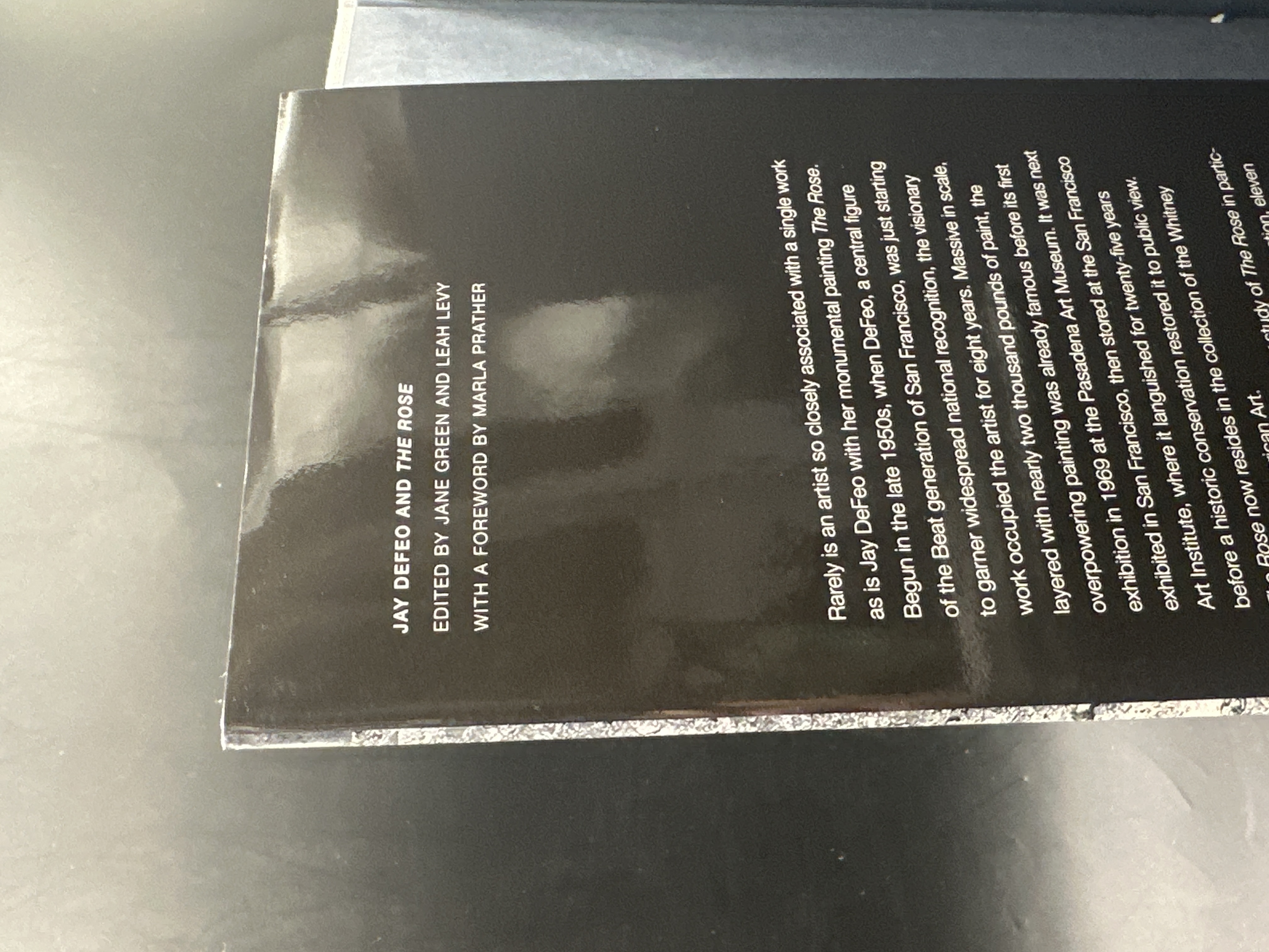 Jay DeFeo and The Rose (First Edition) by Jane Green and Leah Levy ...