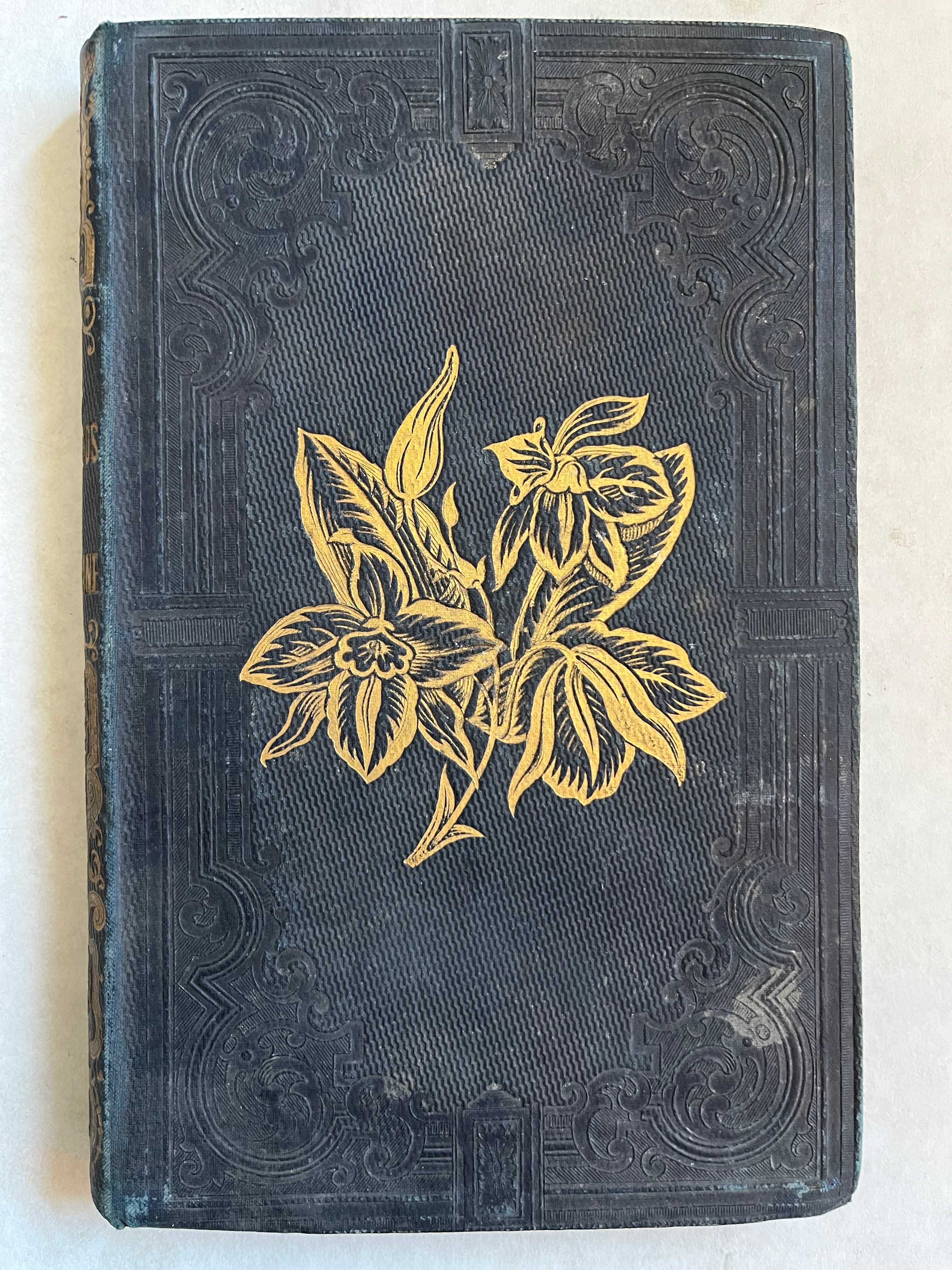 The Legends of the Liane : A series of tales founded on historical ...