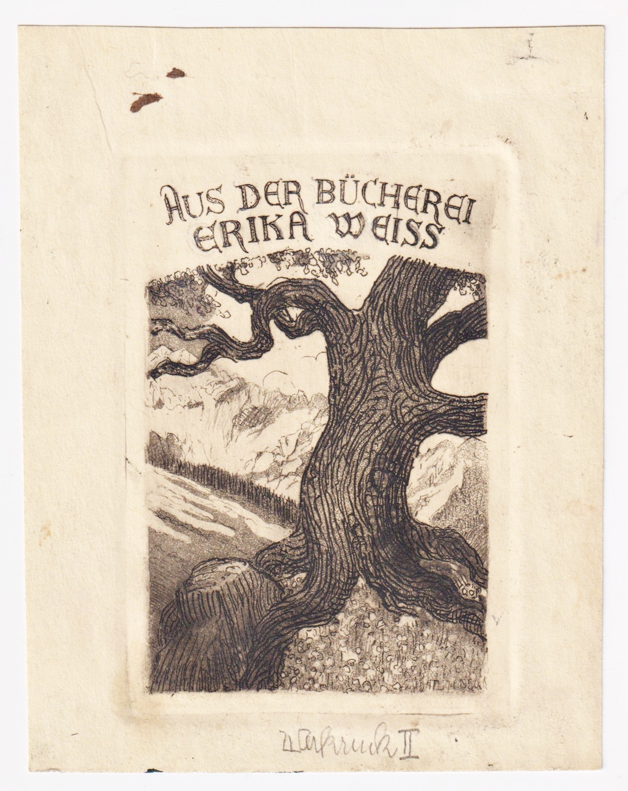 Exlibris für Erika Weiss / Radierung etching Baum tree / Probedruck von ...