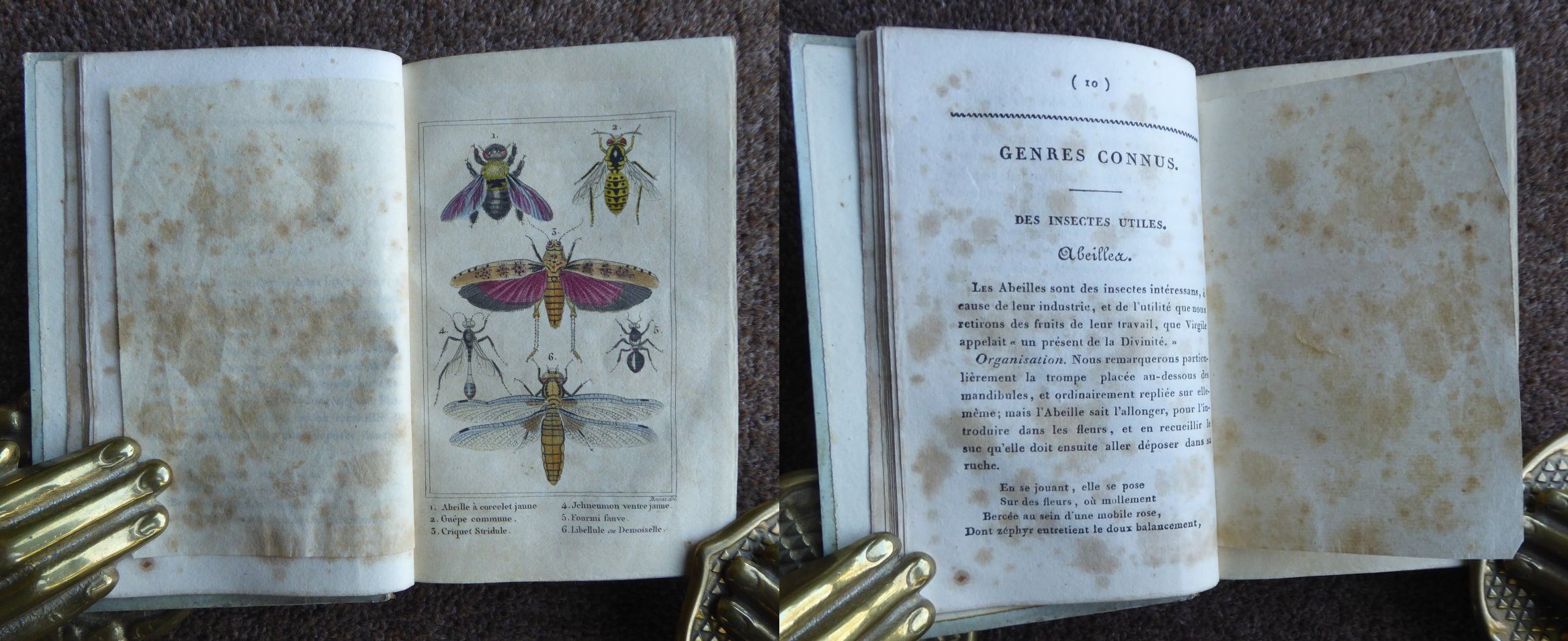 LES INSECTES. by MALO, Charles.: (1818) | Roger Middleton P.B.F.A.
