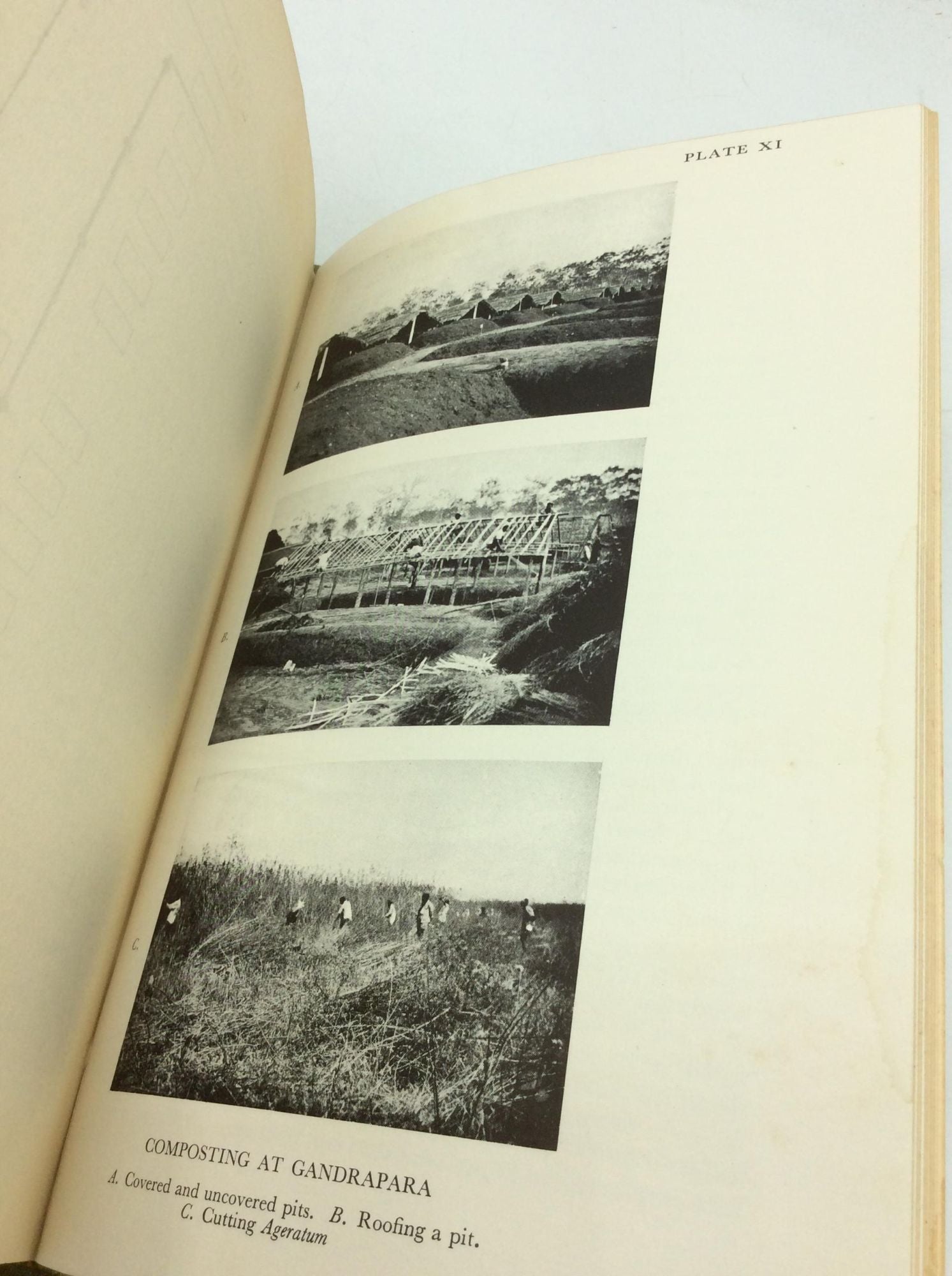 AN AGRICULTURAL TESTAMENT by Sir Albert Howard: Good Hardcover (1943 ...