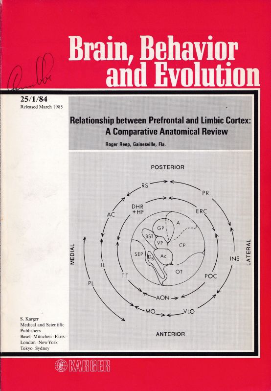 Relationship between Prefrontal and Limbic Cortex: A Comparative Anatomical Review - IN : Brain ...