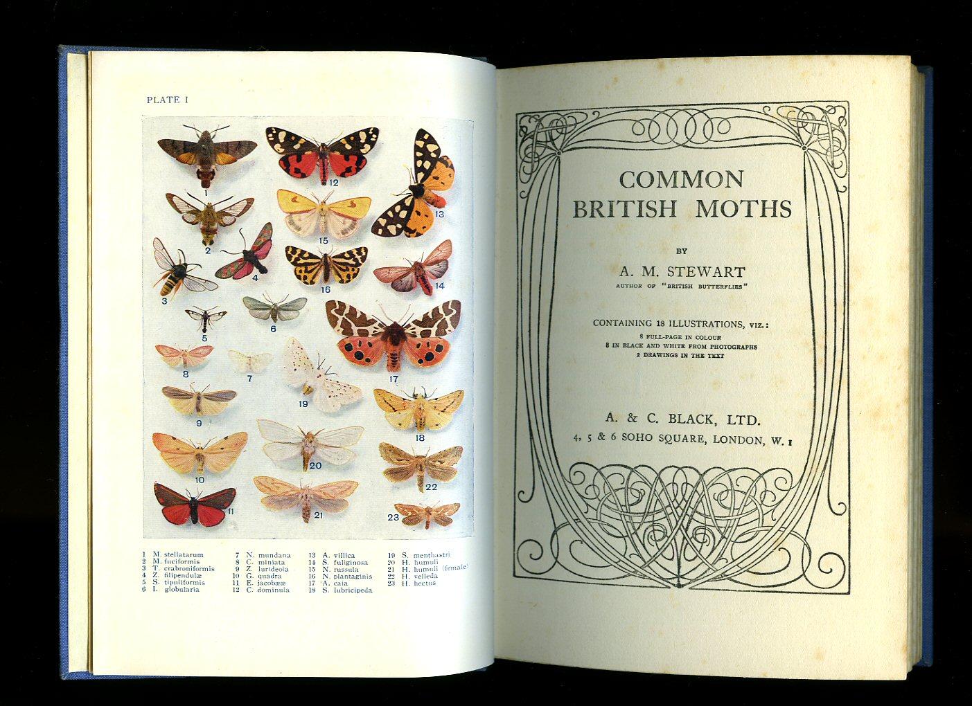 Common British Moths by Stewart, A. M.: (1930) | Little Stour Books ...