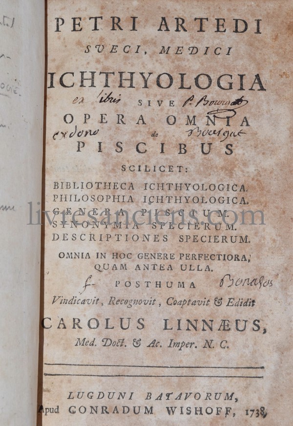 Ichthyologia, sive opera omnia de piscibus by ARTEDI, Peter || LINNE ...