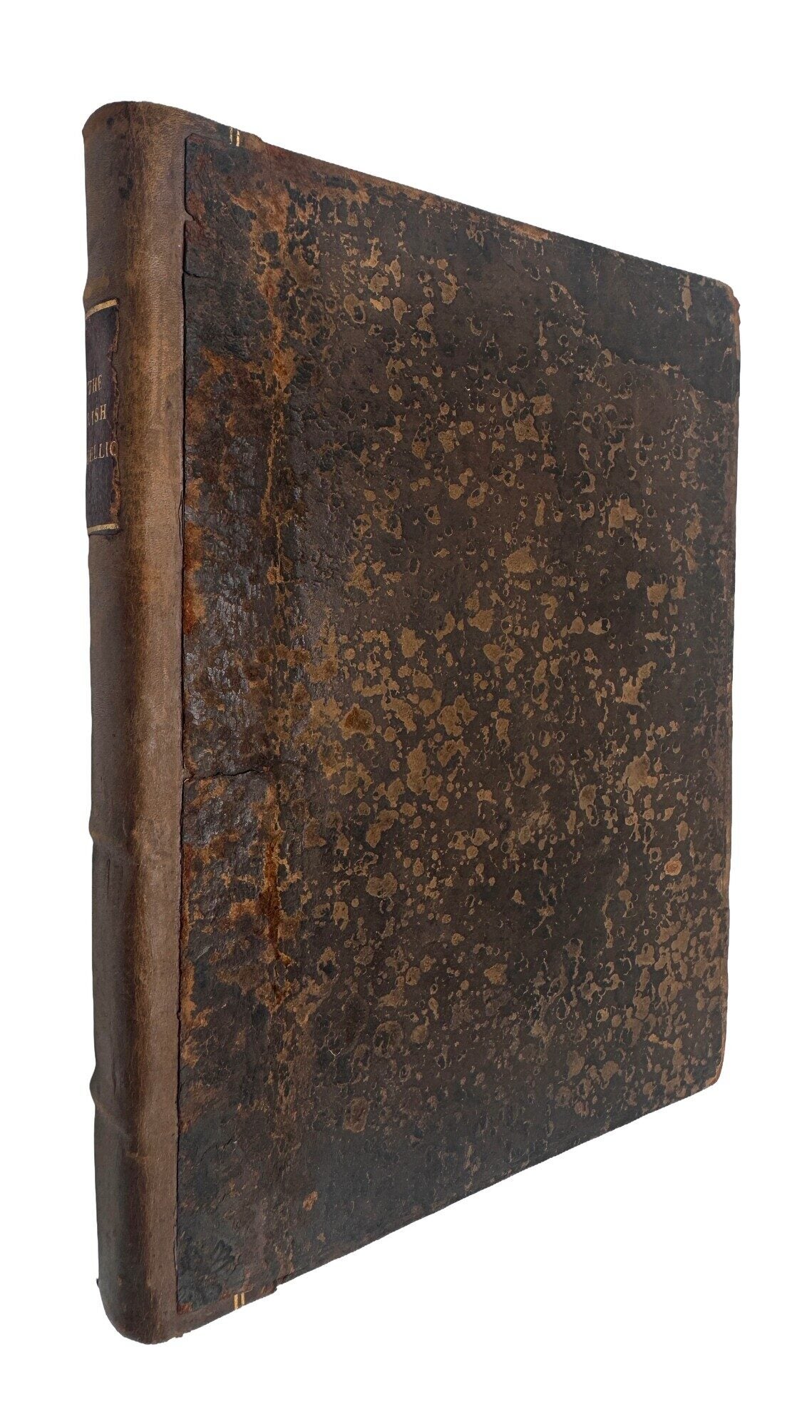 The Irish Rebellion of 1641 by Sir John Temple: Very Good Full calf ...